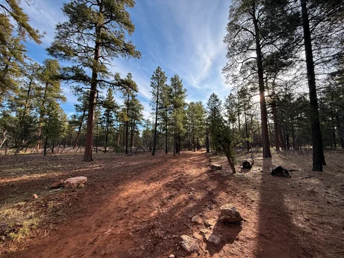 Hiking the Shoshone Point Trail in Grand Canyon National Park — noahawaii