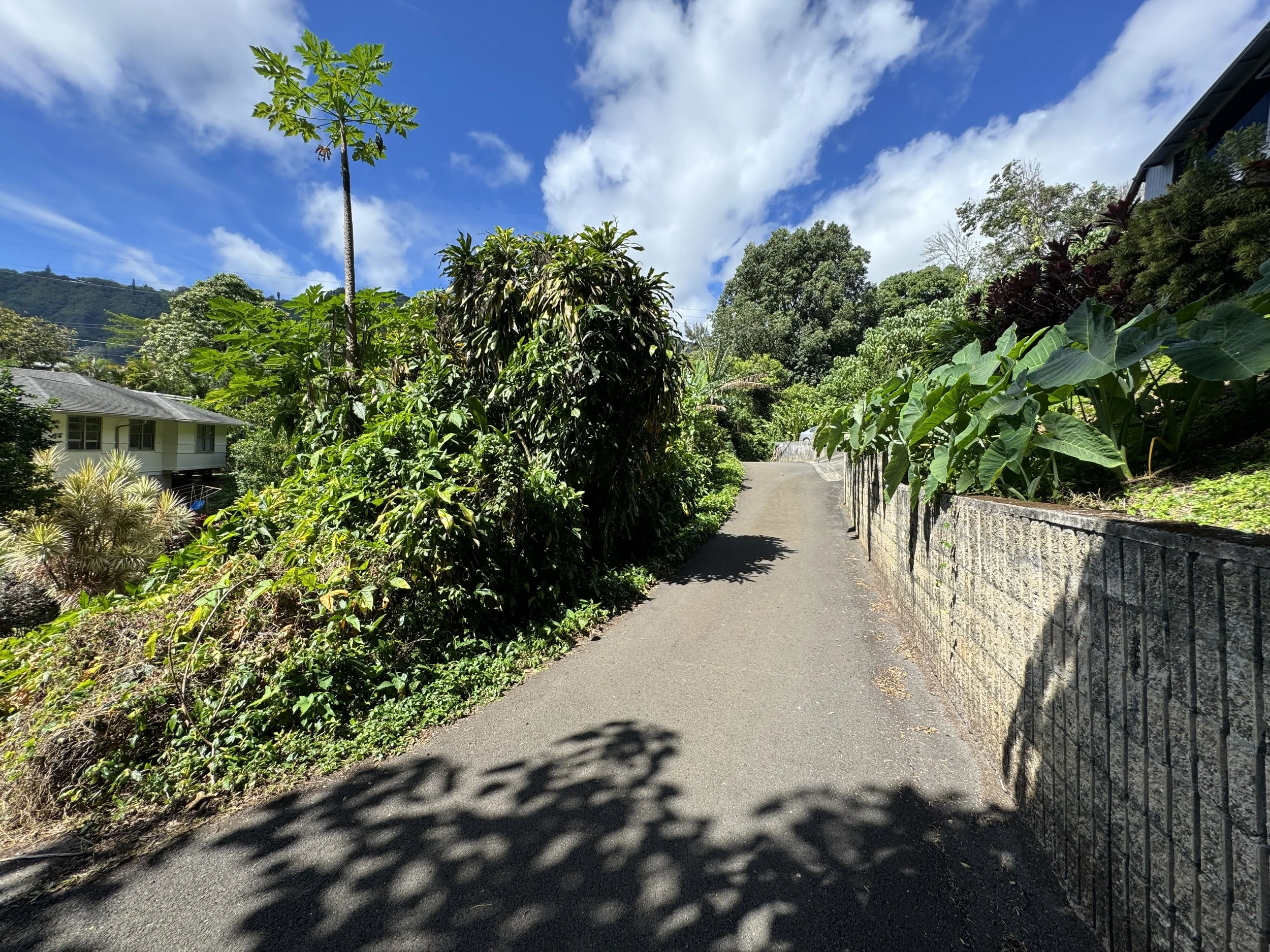 Hiking the Kolowalu Trail to Waʻahila Ridge on Oʻahu, Hawaiʻi — noahawaii