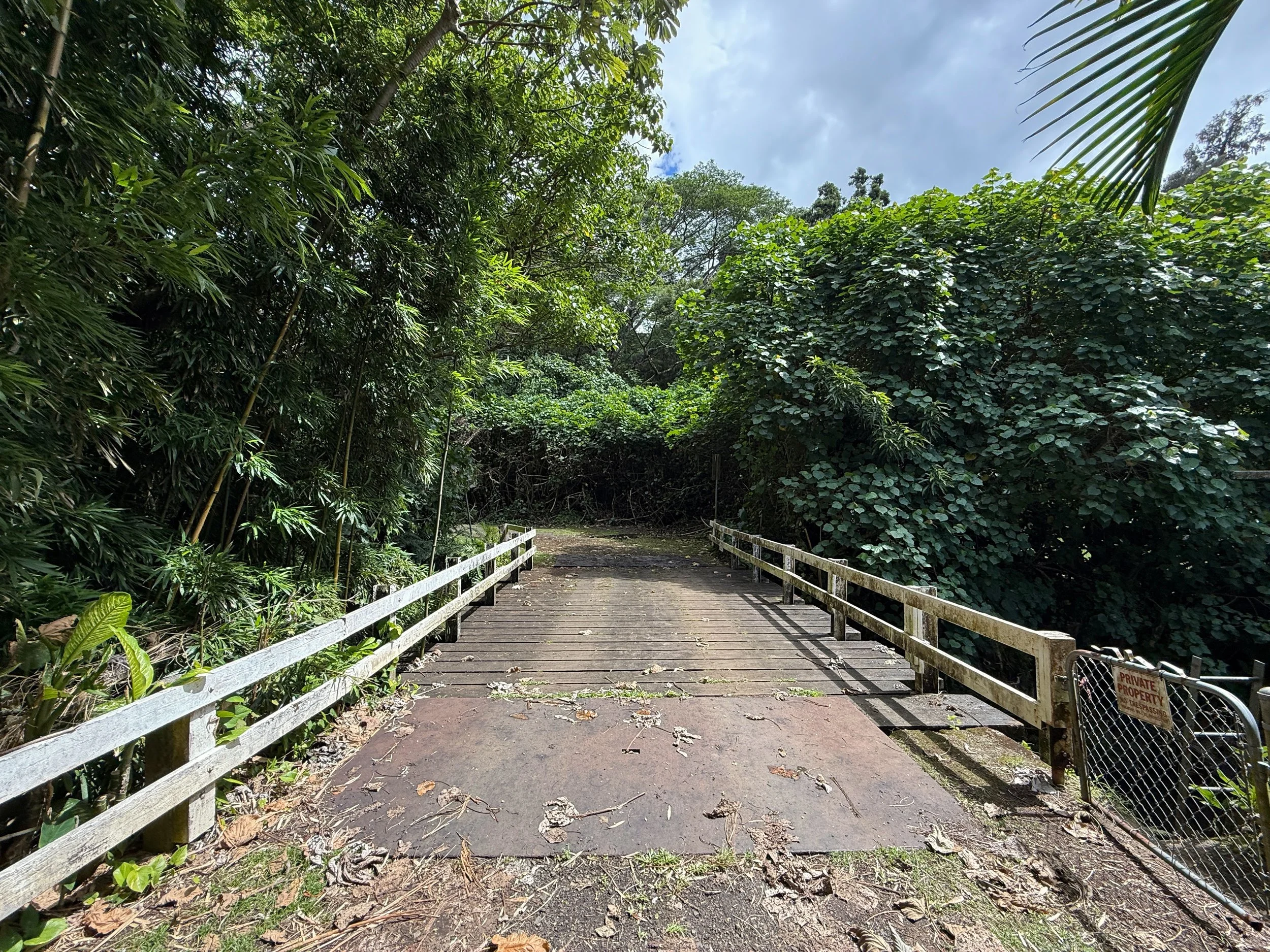 Hiking the Mānoa Middle Ridge Trail on Oʻahu, Hawaiʻi — noahawaii