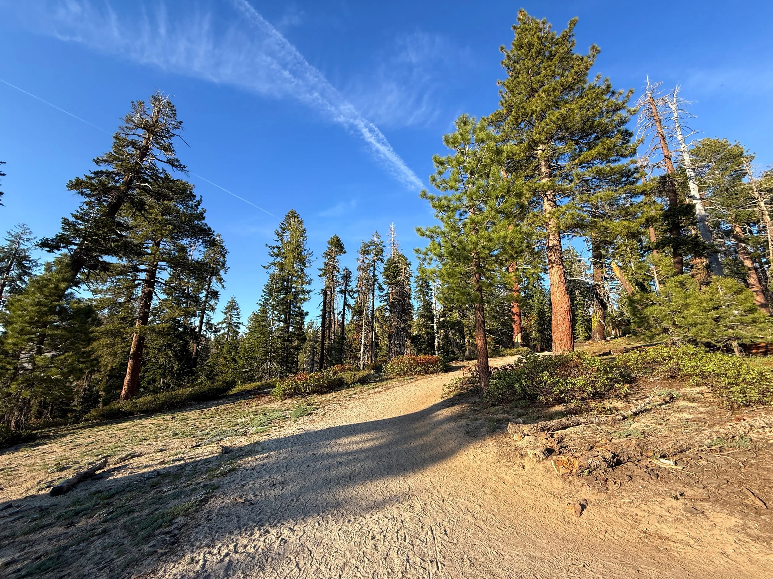 Hiking the Sentinel Dome Trail in Yosemite National Park — noahawaii