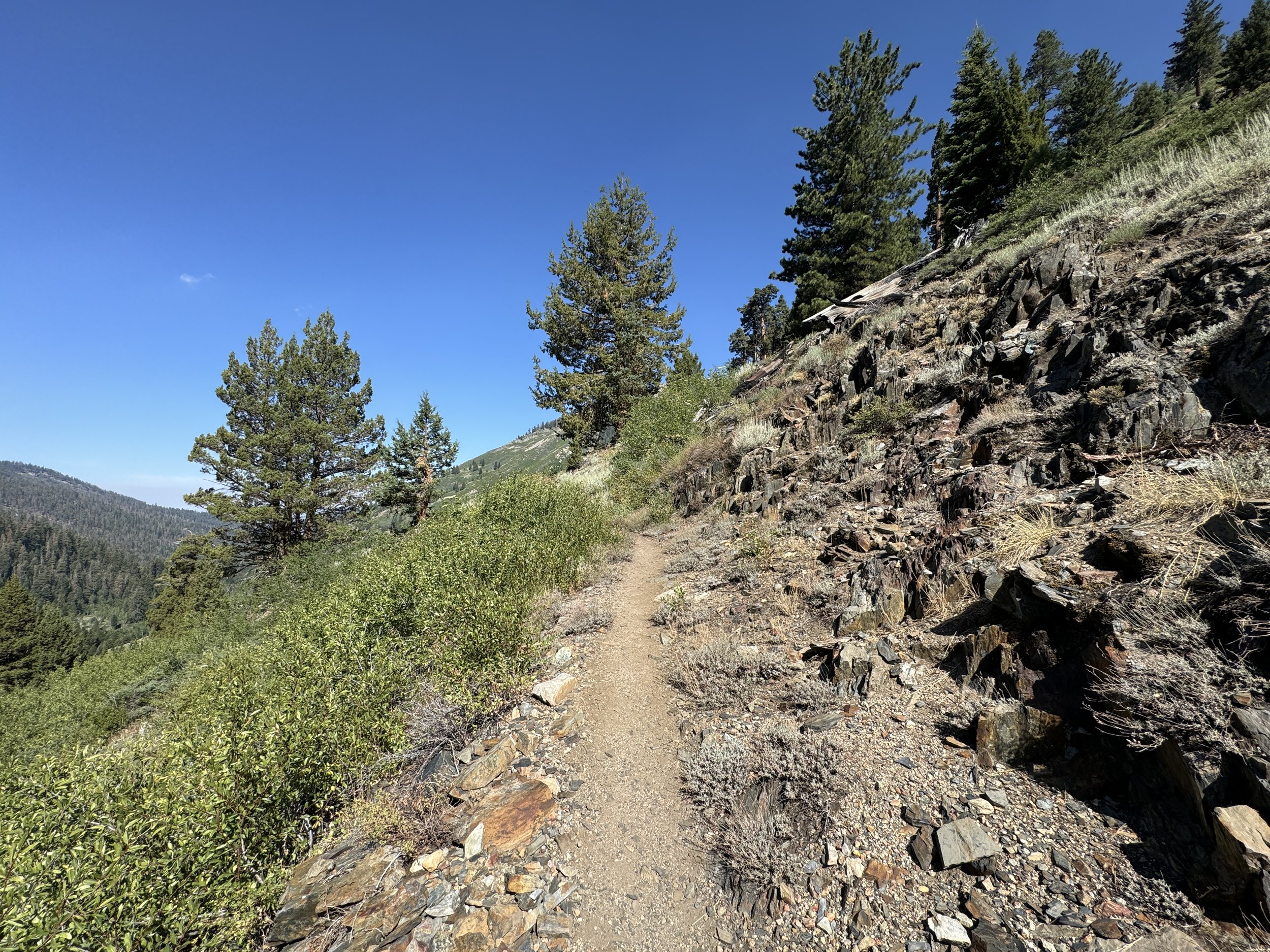 Hiking the Mineral King Loop Trail in Sequoia National Park — noahawaii