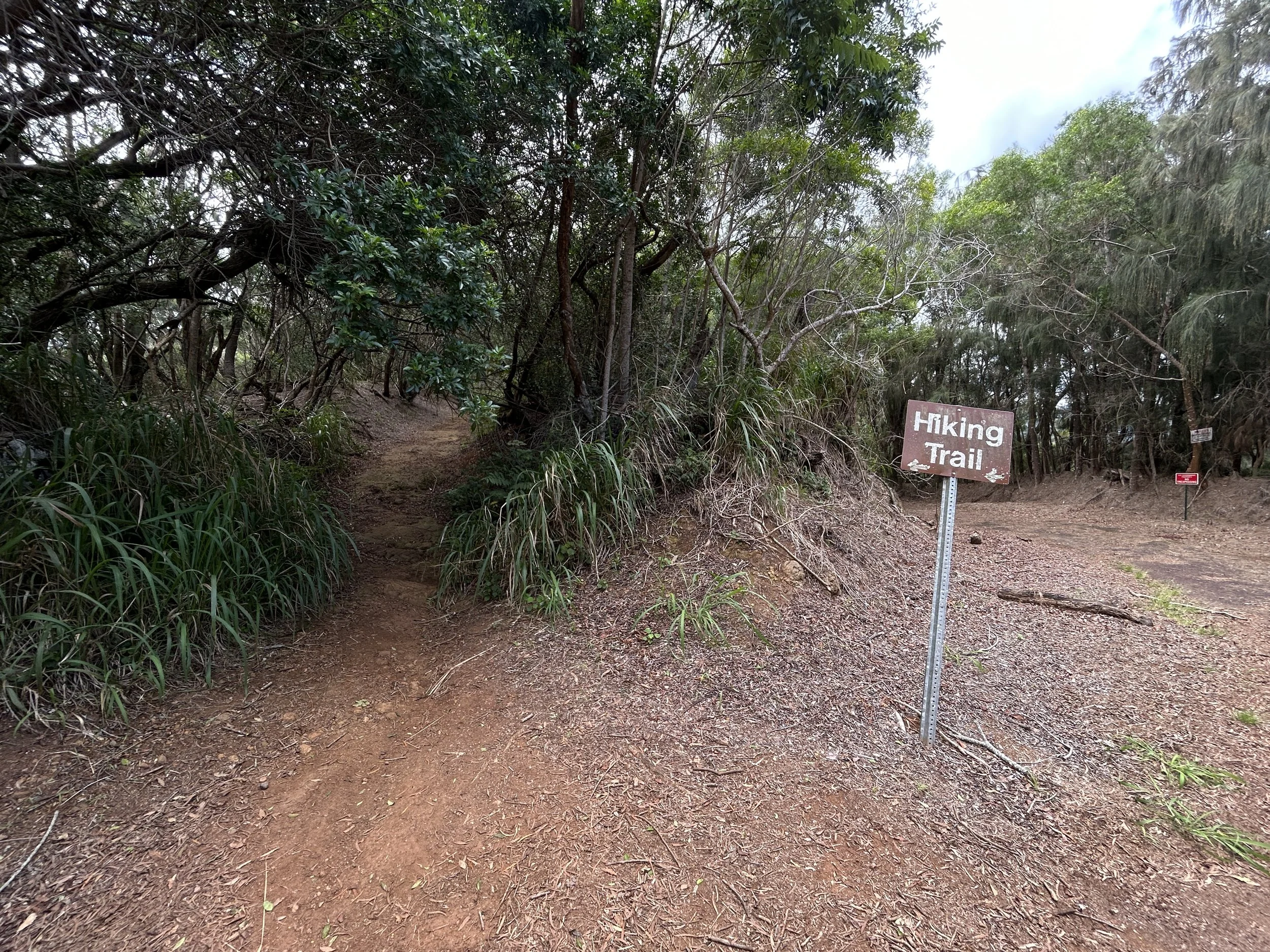 Hiking the Kolekole Trail to Puʻu Hapapa on Oʻahu, Hawaiʻi — noahawaii