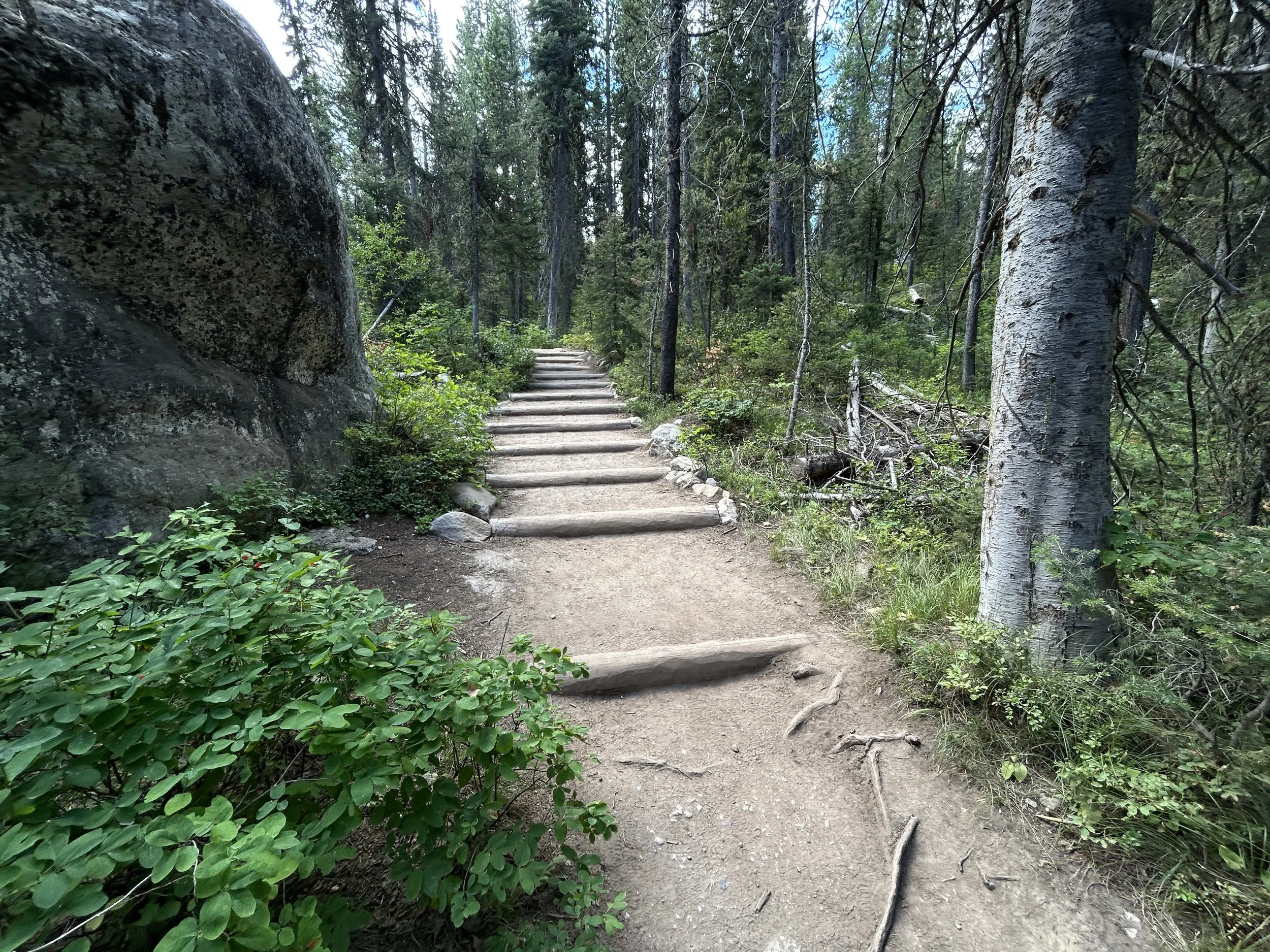 Hiking the Delta Lake Trail via Lupine Meadows in Grand Teton National ...