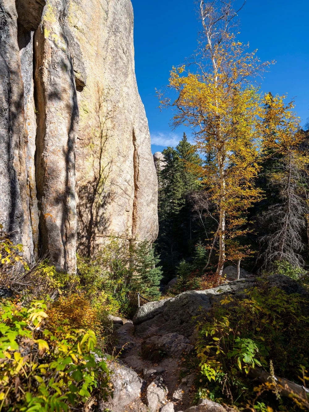 Hiking the Sunday Gulch Trail in Custer State Park in the Black Hills ...