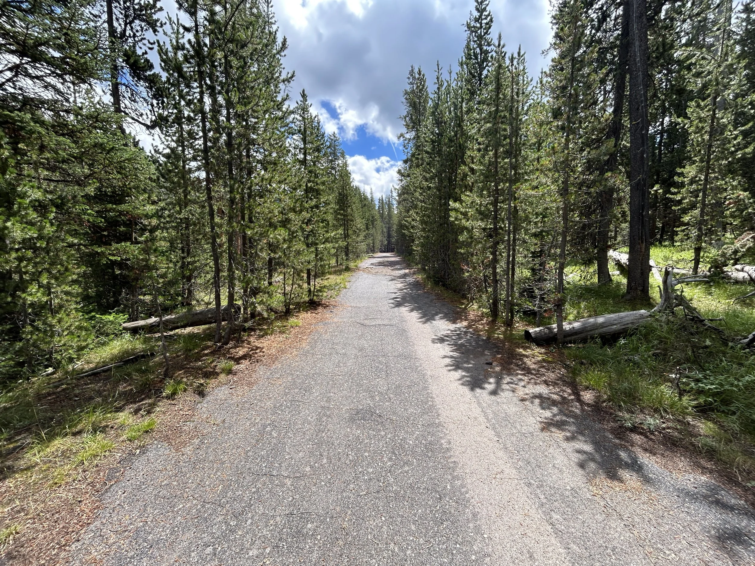 Hiking the Lone Star Geyser Trail in Yellowstone National Park — noahawaii