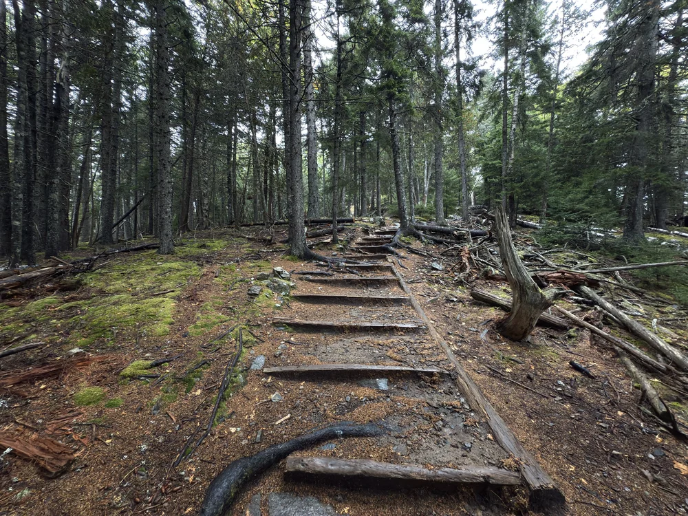 Hiking the Flying Mountain Trail in Acadia National Park — noahawaii