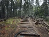 Hiking the Flying Mountain Trail in Acadia National Park — noahawaii