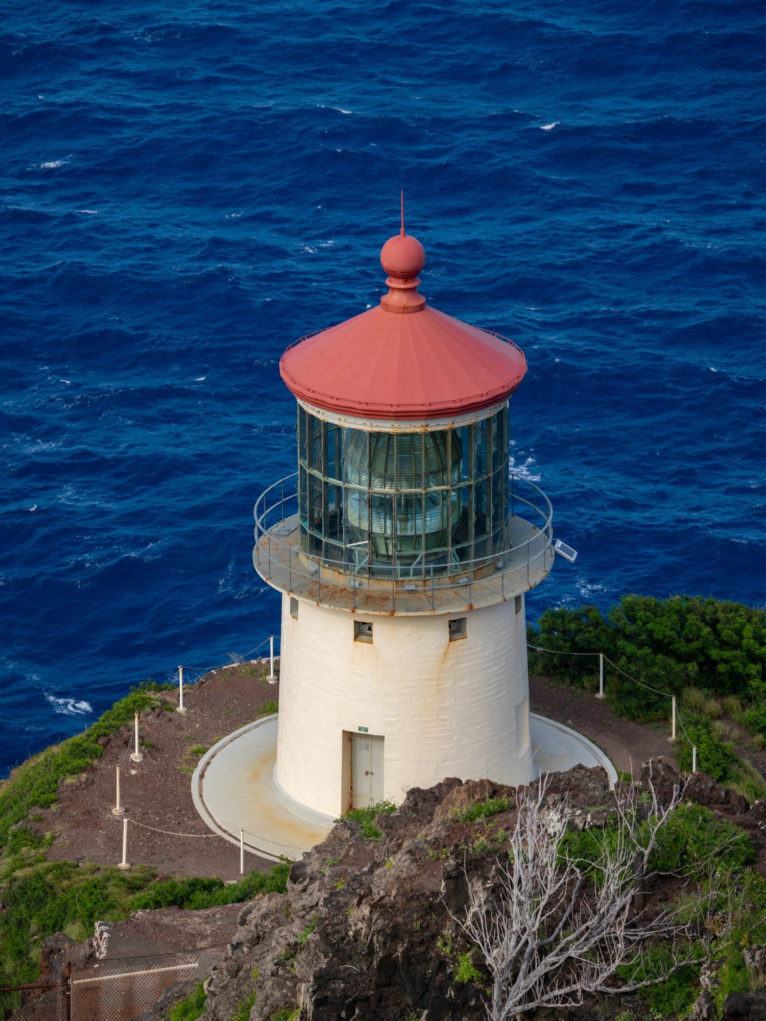 10 Best Trail Runs on Oʻahu, Hawaiʻi — noahawaii