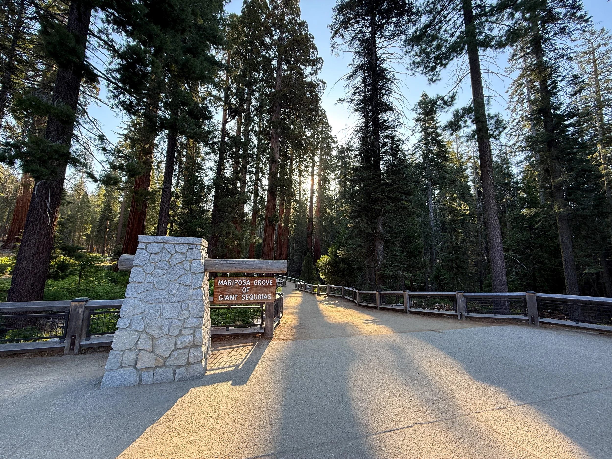 Hiking the Grizzly Giant Loop Trail in Yosemite National Park — noahawaii