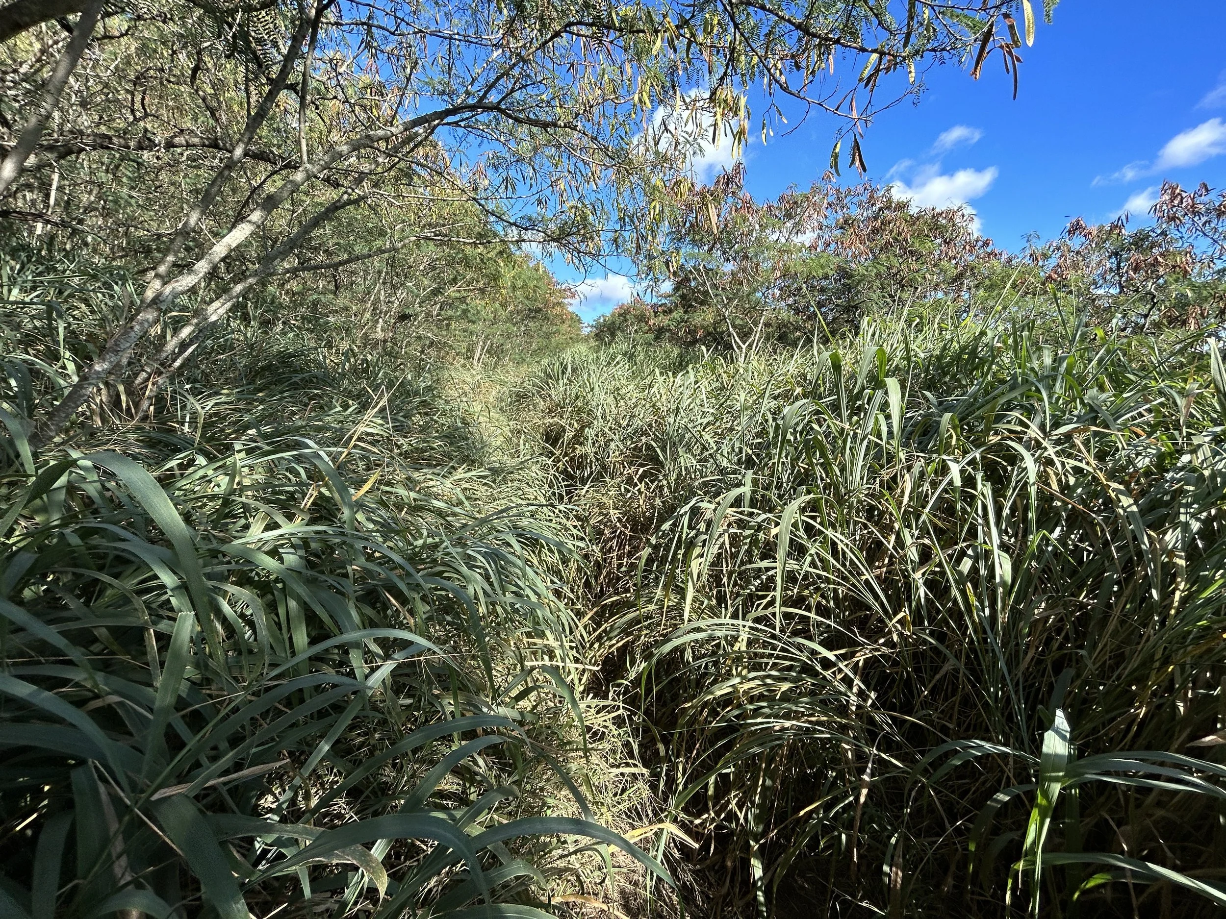 Hiking the Lualualei Lookout Trail on Oʻahu, Hawaiʻi — noahawaii