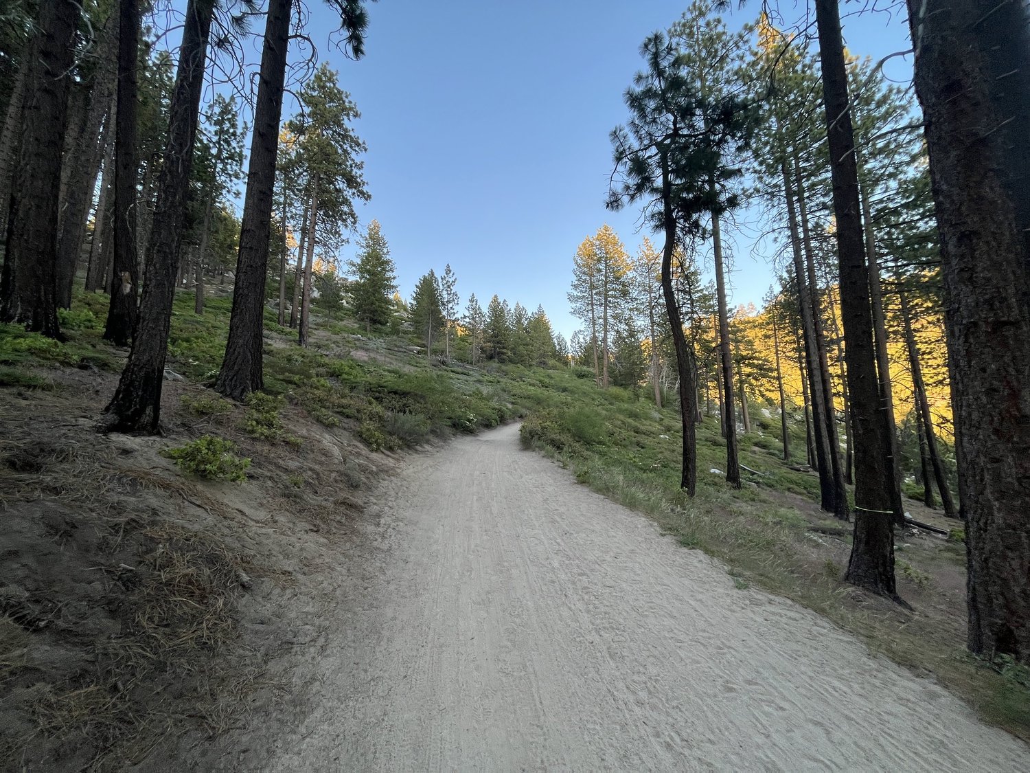Hiking the Monkey Rock Trail in Lake Tahoe, Nevada — noahawaii