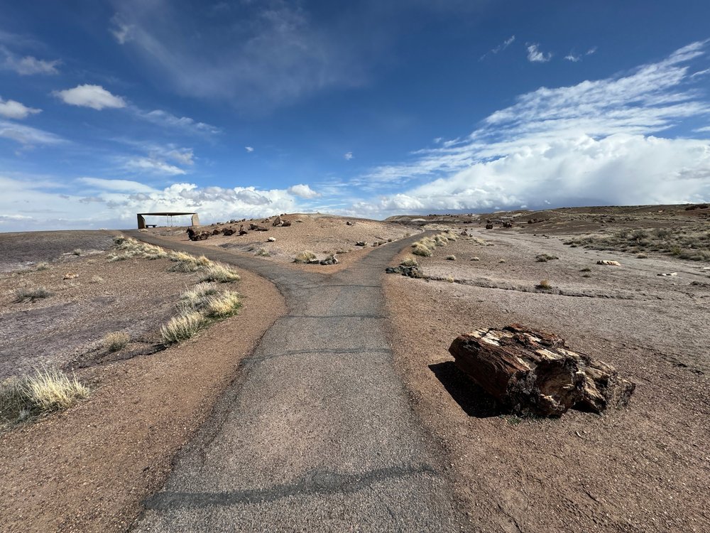 Hiking the Crystal Forest Trail in Petrified Forest National Park ...