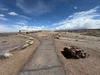 Hiking the Crystal Forest Trail in Petrified Forest National Park ...