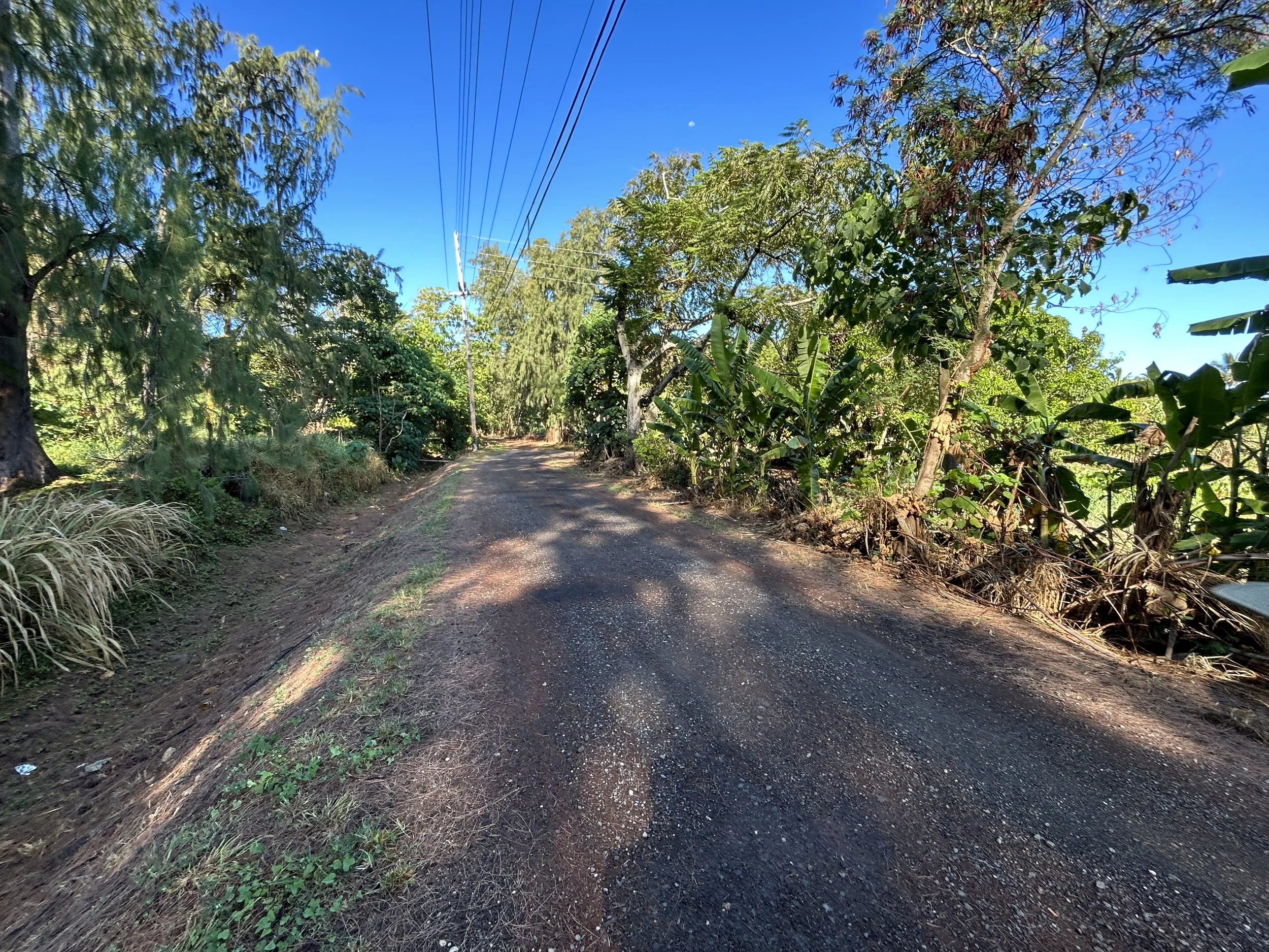 Hiking the Kōloa Gulch Trail on Oʻahu, Hawaiʻi — noahawaii
