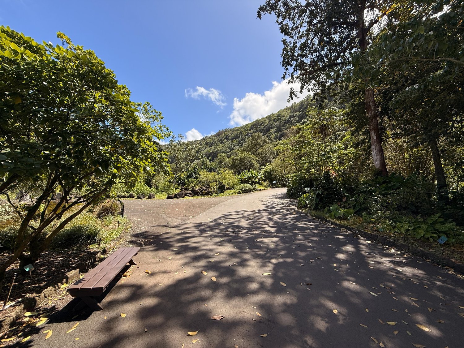 Hiking the Waimea Valley Trail on the North Shore of Oʻahu, Hawaiʻi ...