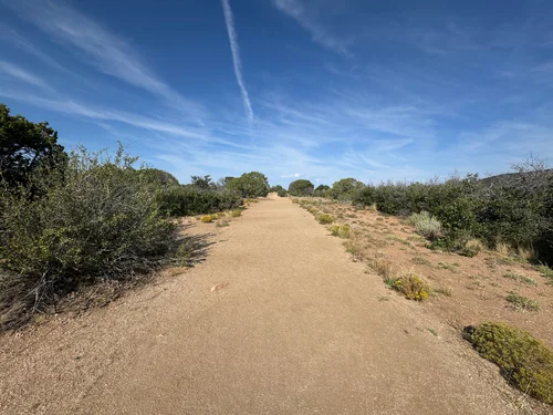 Hiking the Dragon Point Trail in Black Canyon of the Gunnison National ...