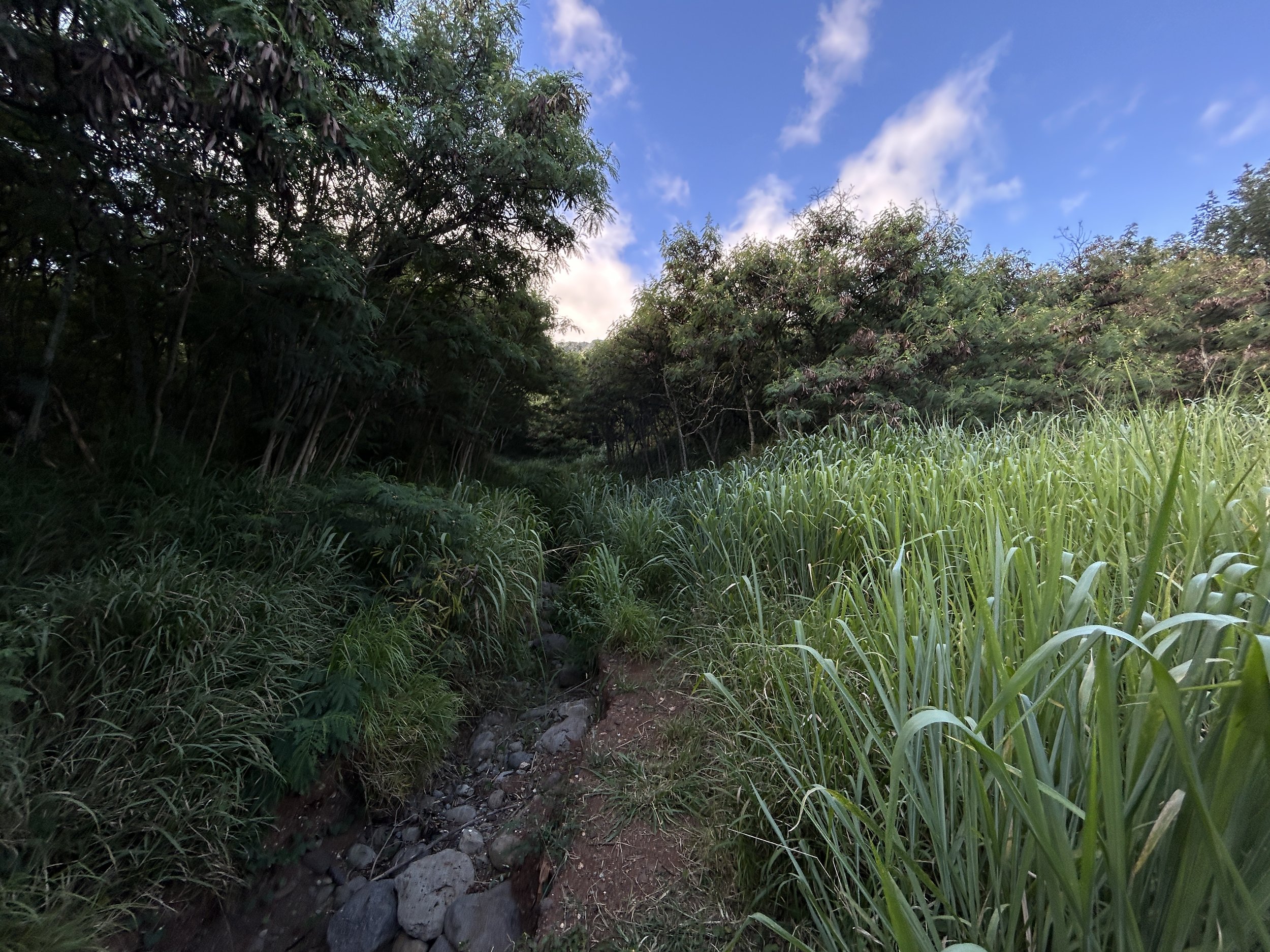 Hiking the Lualualei Lookout Trail on Oʻahu, Hawaiʻi — noahawaii