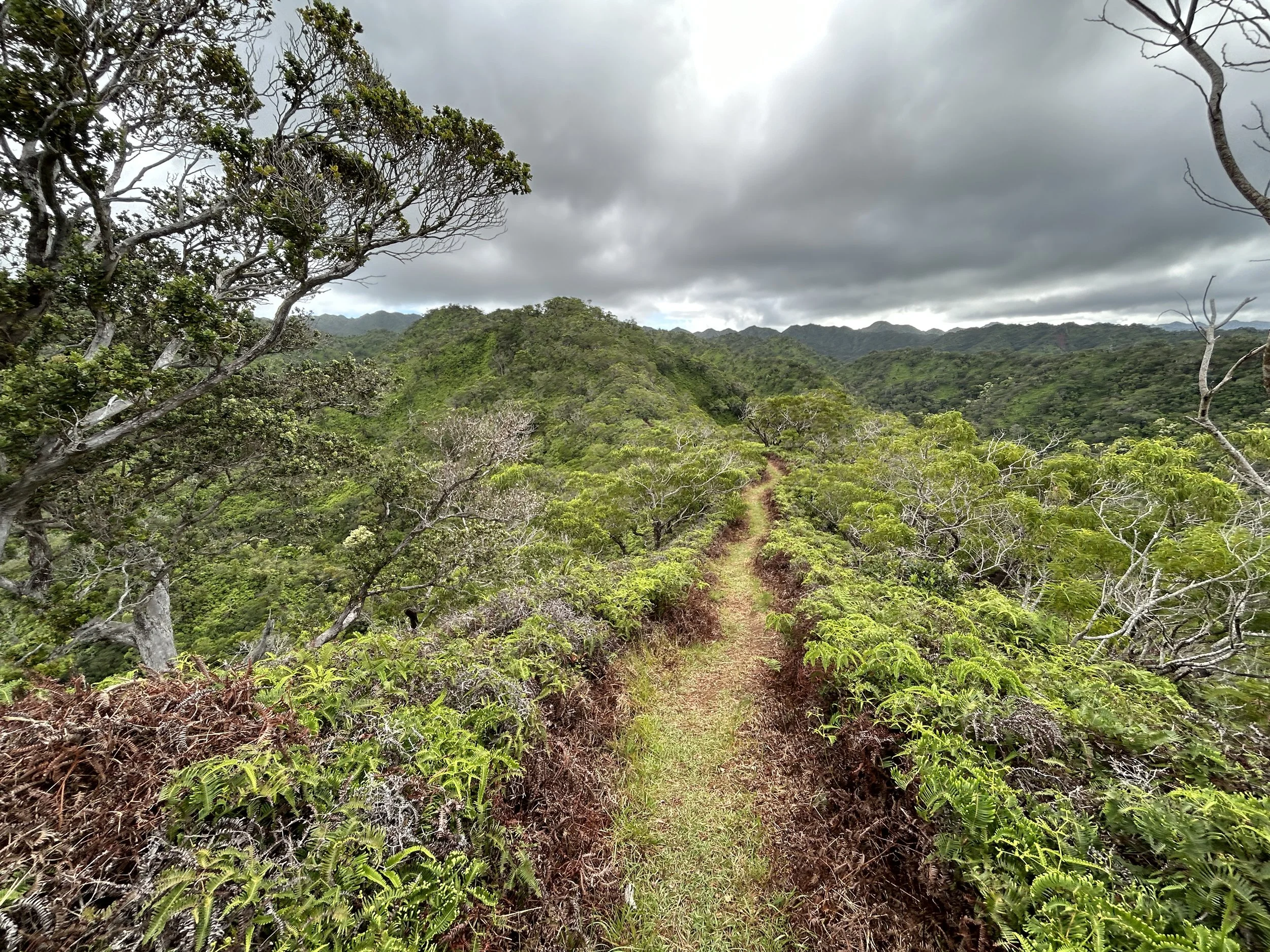Hiking the Mānana Ridge Trail on Oʻahu — noahawaii