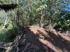 Hiking the Kōloa Gulch Trail on Oʻahu, Hawaiʻi — noahawaii