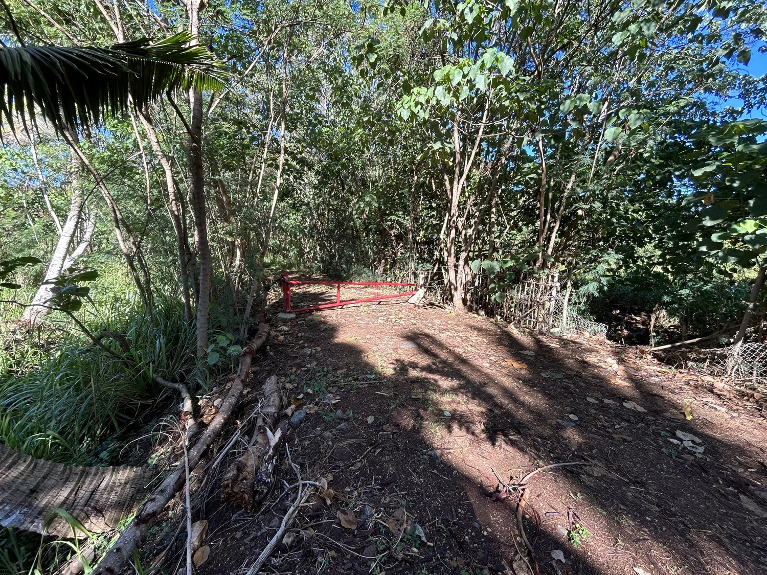 Hiking the Kōloa Gulch Trail on Oʻahu, Hawaiʻi — noahawaii