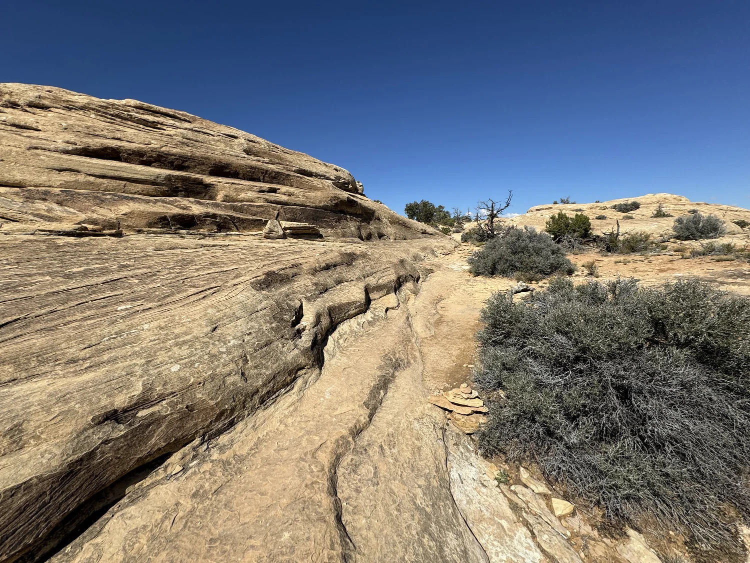Hiking the Slickrock Trail in Canyonlands National Park — noahawaii