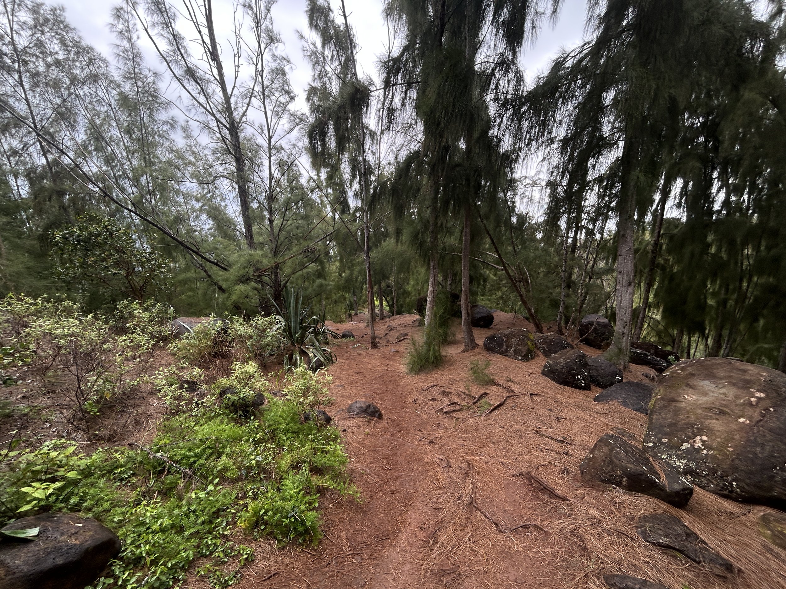 Hiking the ʻEhukai Pillbox Trail on Oʻahu — noahawaii