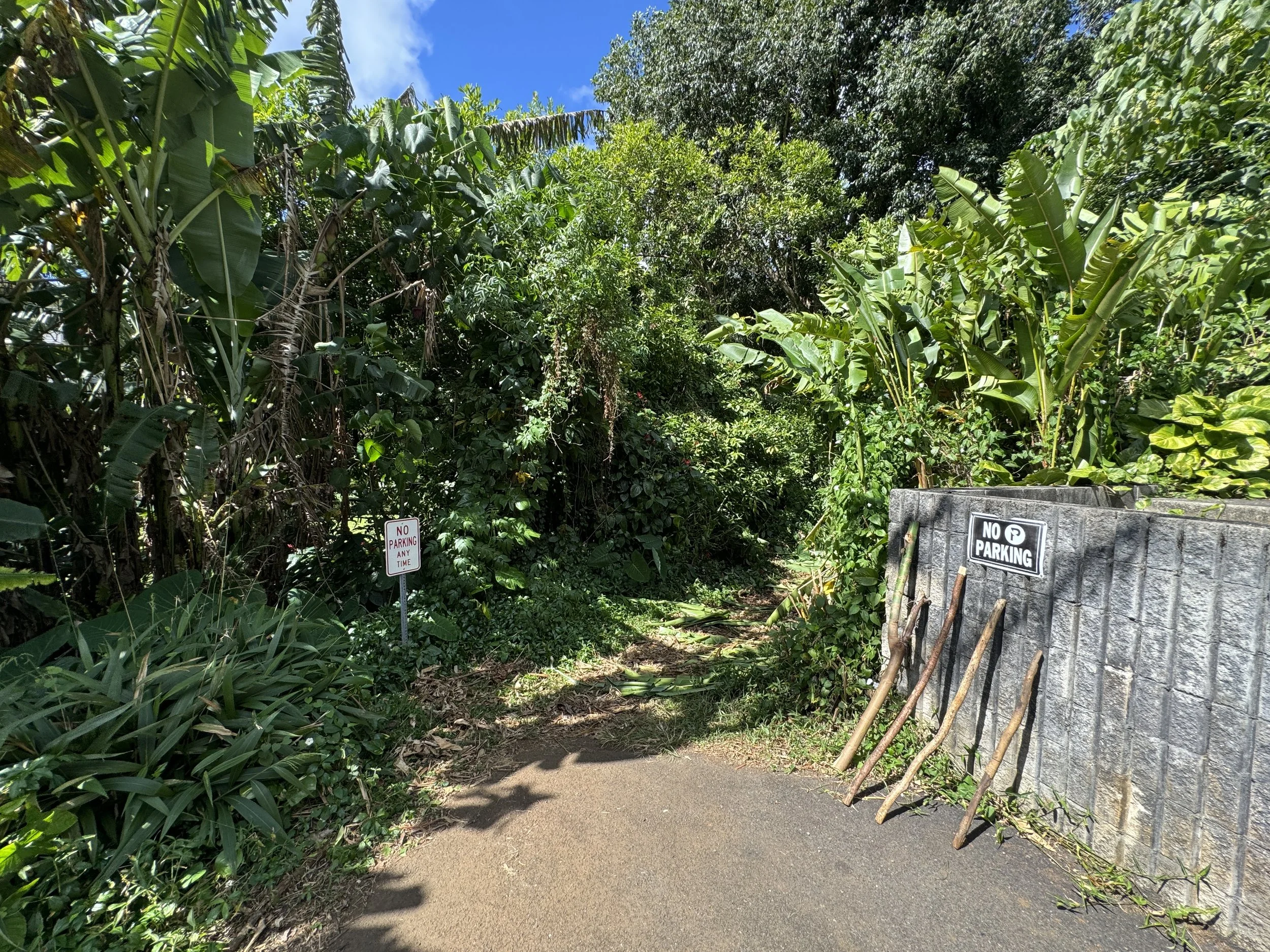 Hiking the Kolowalu Trail to Waʻahila Ridge on Oʻahu, Hawaiʻi — noahawaii