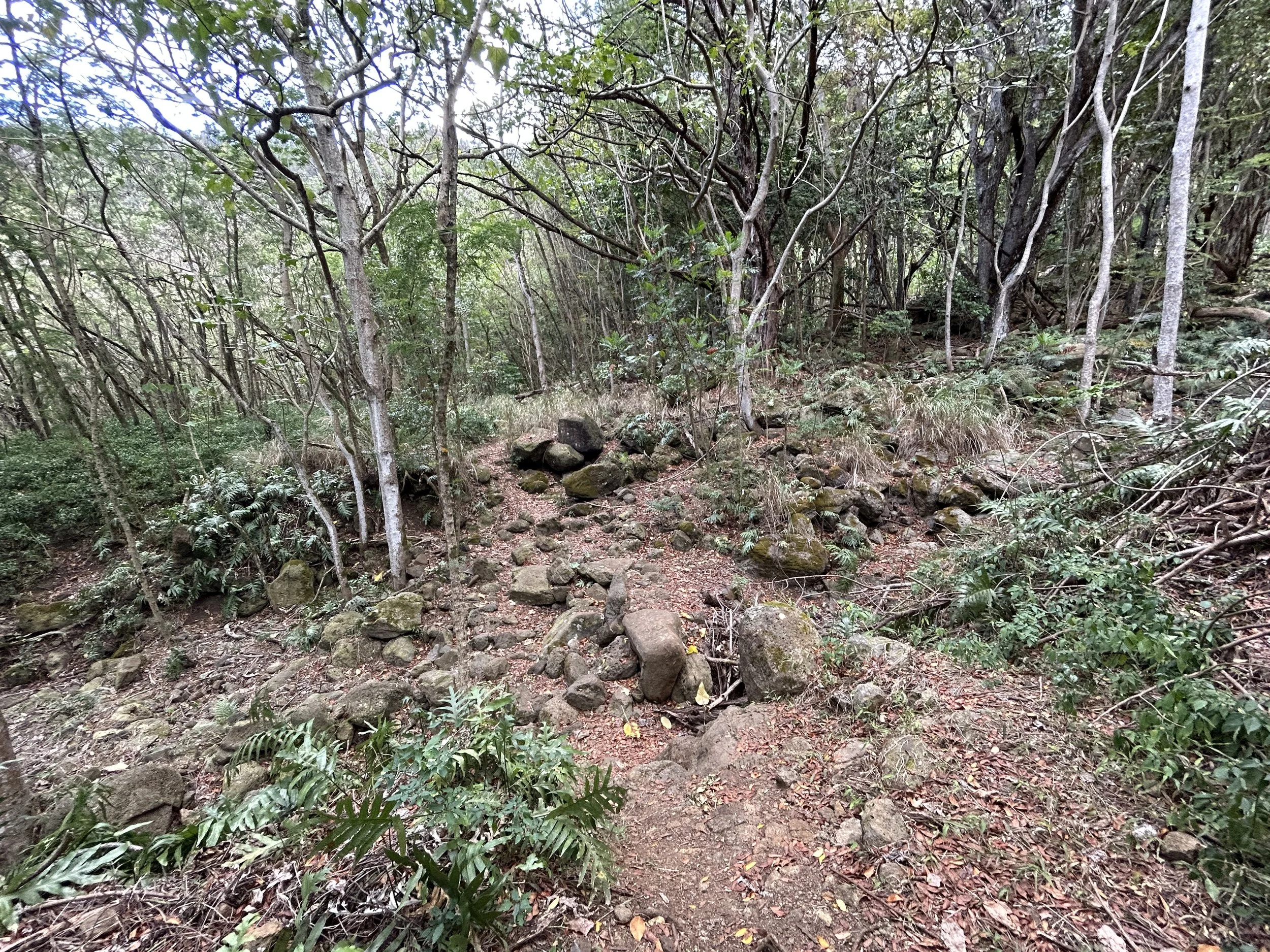 Hiking the Pyramid Rock Loop Trail on Oʻahu — noahawaii