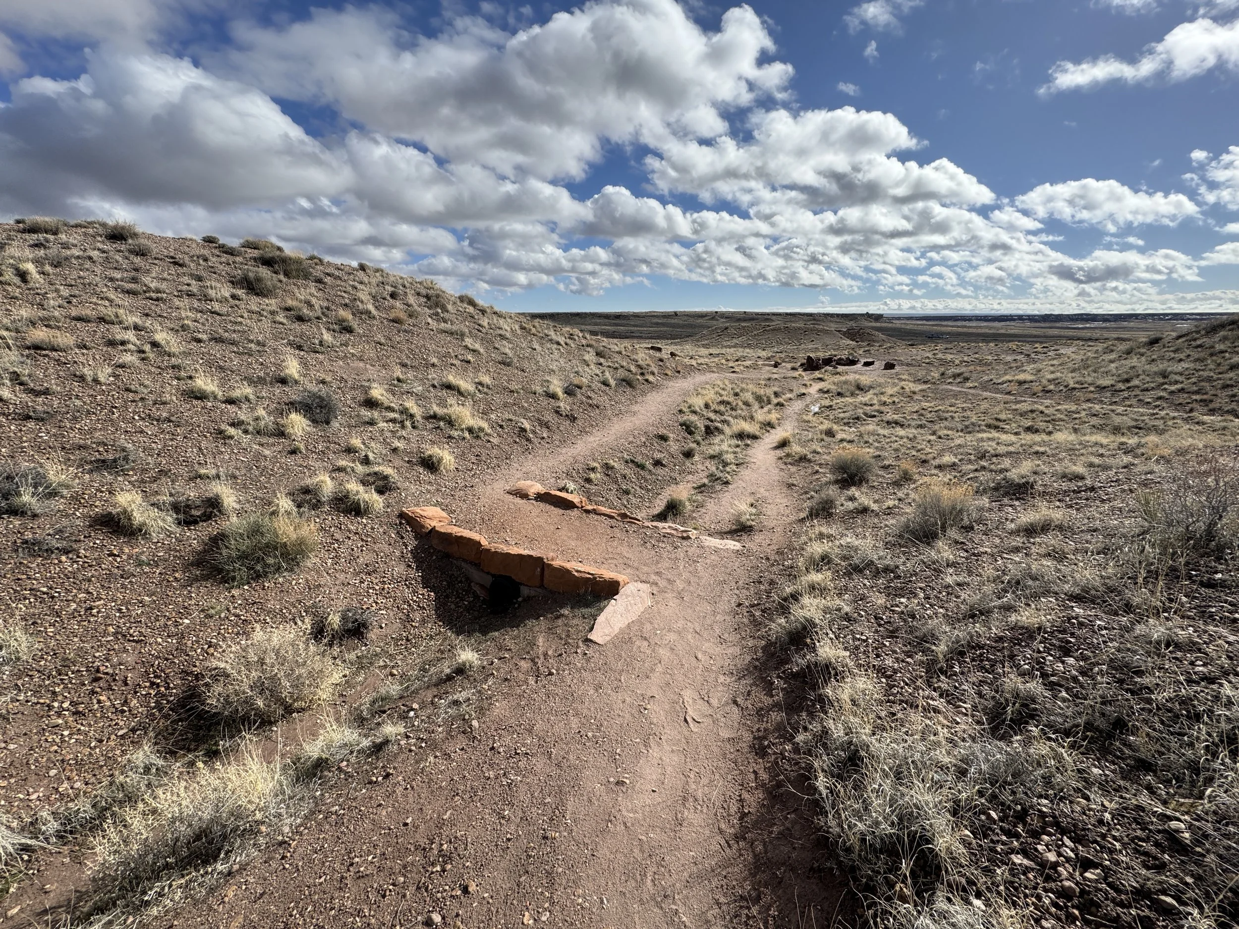 Hiking the Jasper Forest Trail in Petrified Forest National Park ...