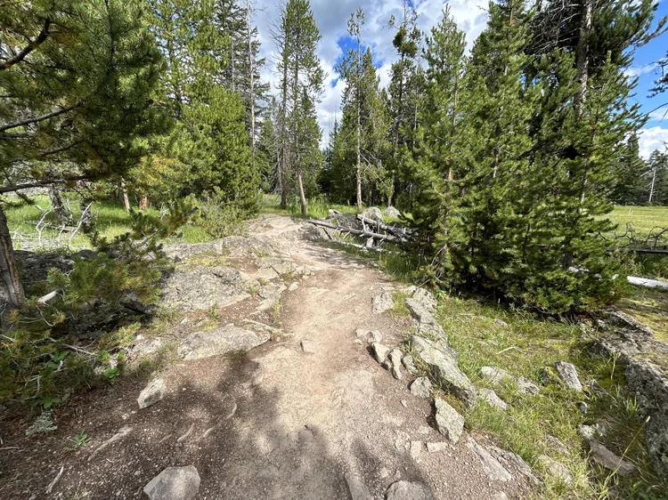 Hiking the Observation Point Trail in Yellowstone National Park — noahawaii