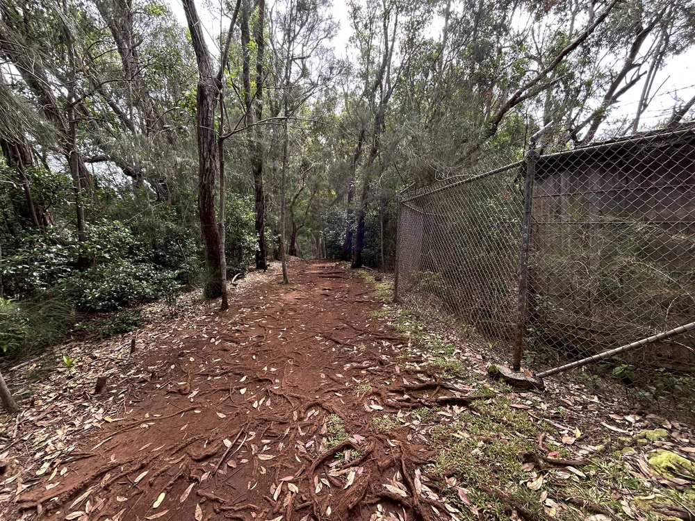 Hiking the Kalauao Falls Loop Trail on Oʻahu, Hawaiʻi — noahawaii