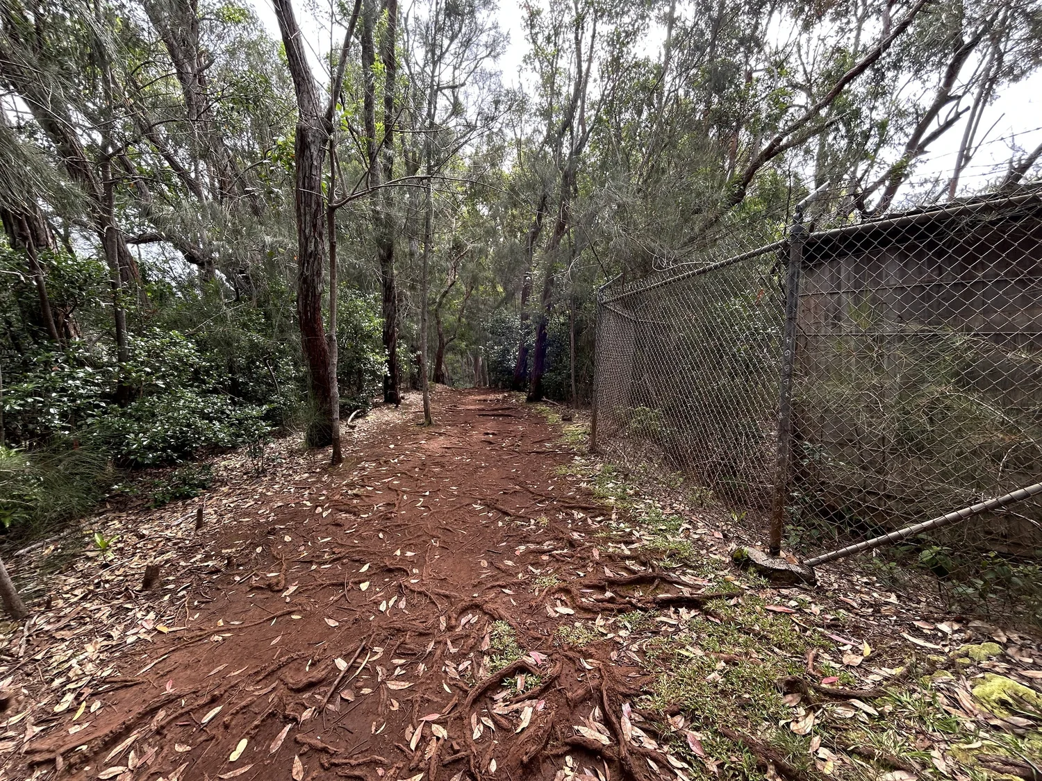 Hiking the Kalauao Falls Loop Trail on Oʻahu, Hawaiʻi — noahawaii