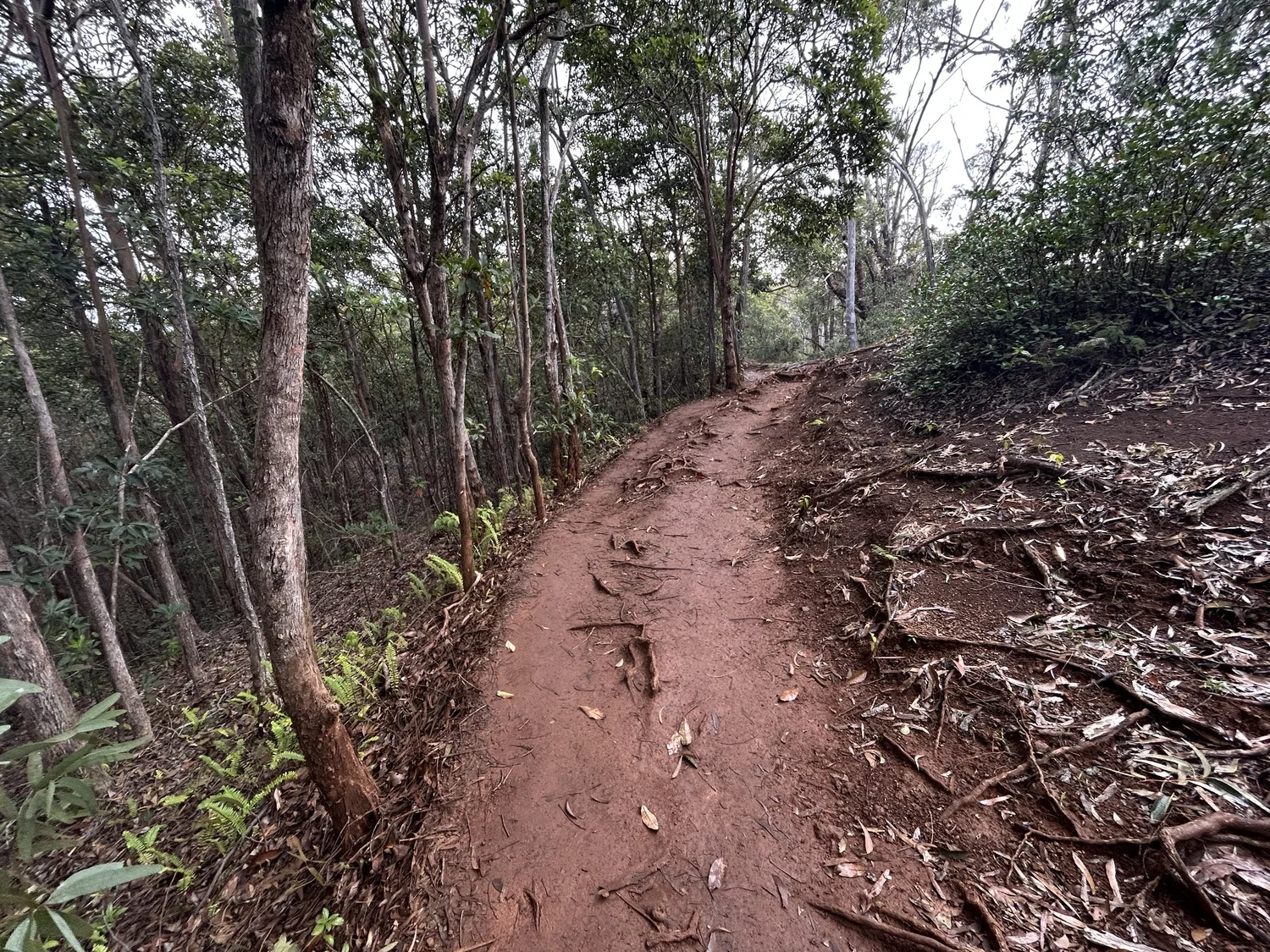 Hiking the Waimano Falls Trail on Oʻahu, Hawaiʻi — noahawaii