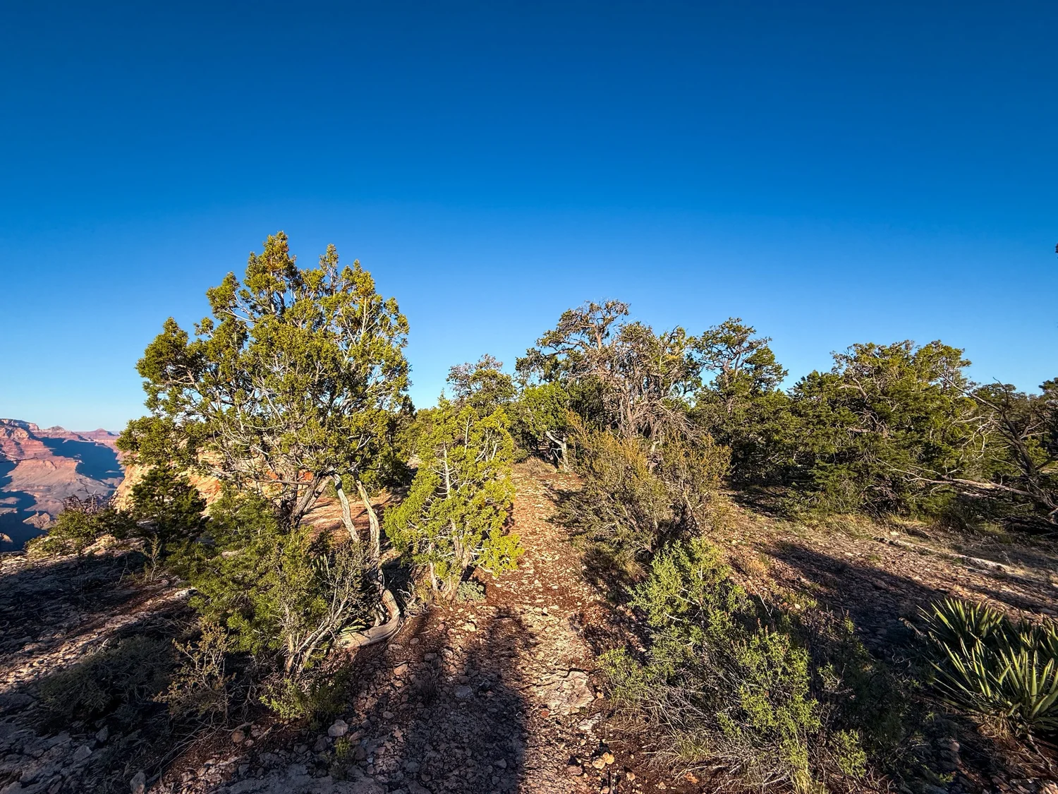 Hiking the Duck on a Rock Trail in Grand Canyon National Park — noahawaii