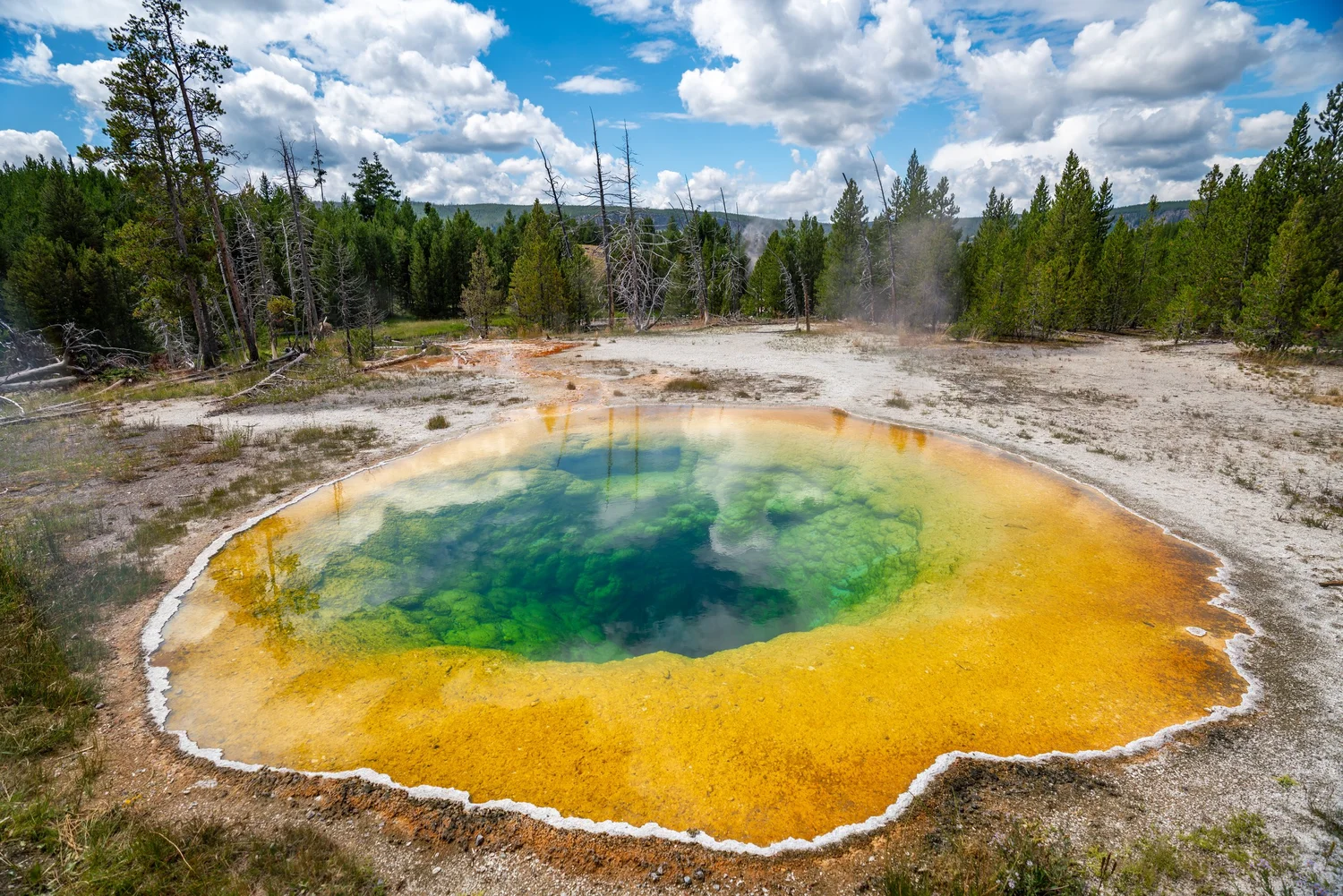 10 Best Geysers & Thermal Features in Yellowstone National Park — noahawaii