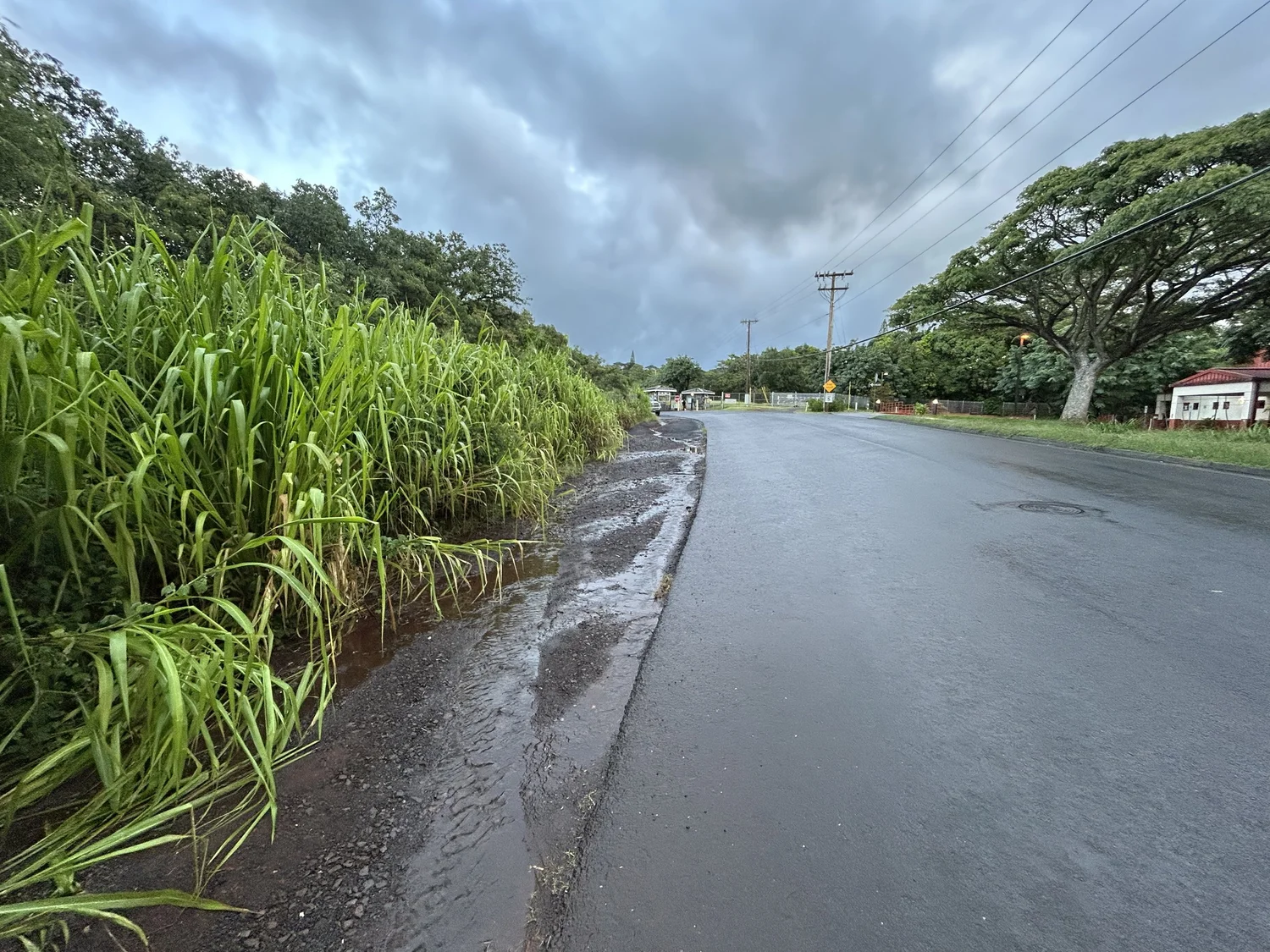 Hiking the Waimano Ridge Trail on Oʻahu — noahawaii