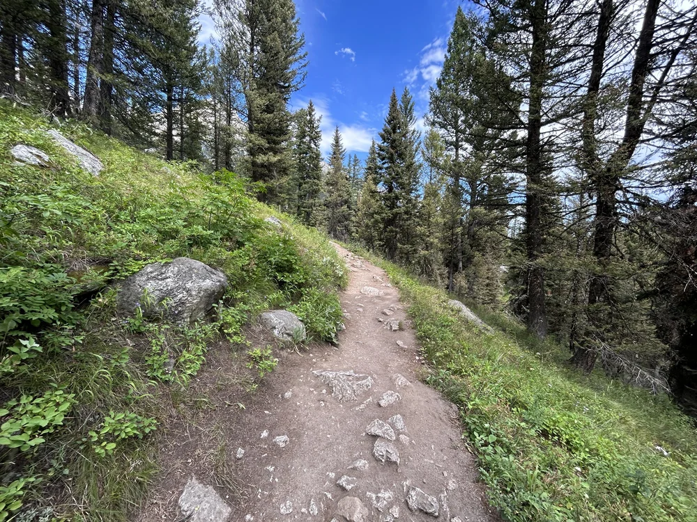 Hiking the Surprise and Amphitheater Lakes Trail via Lupine Meadows in ...