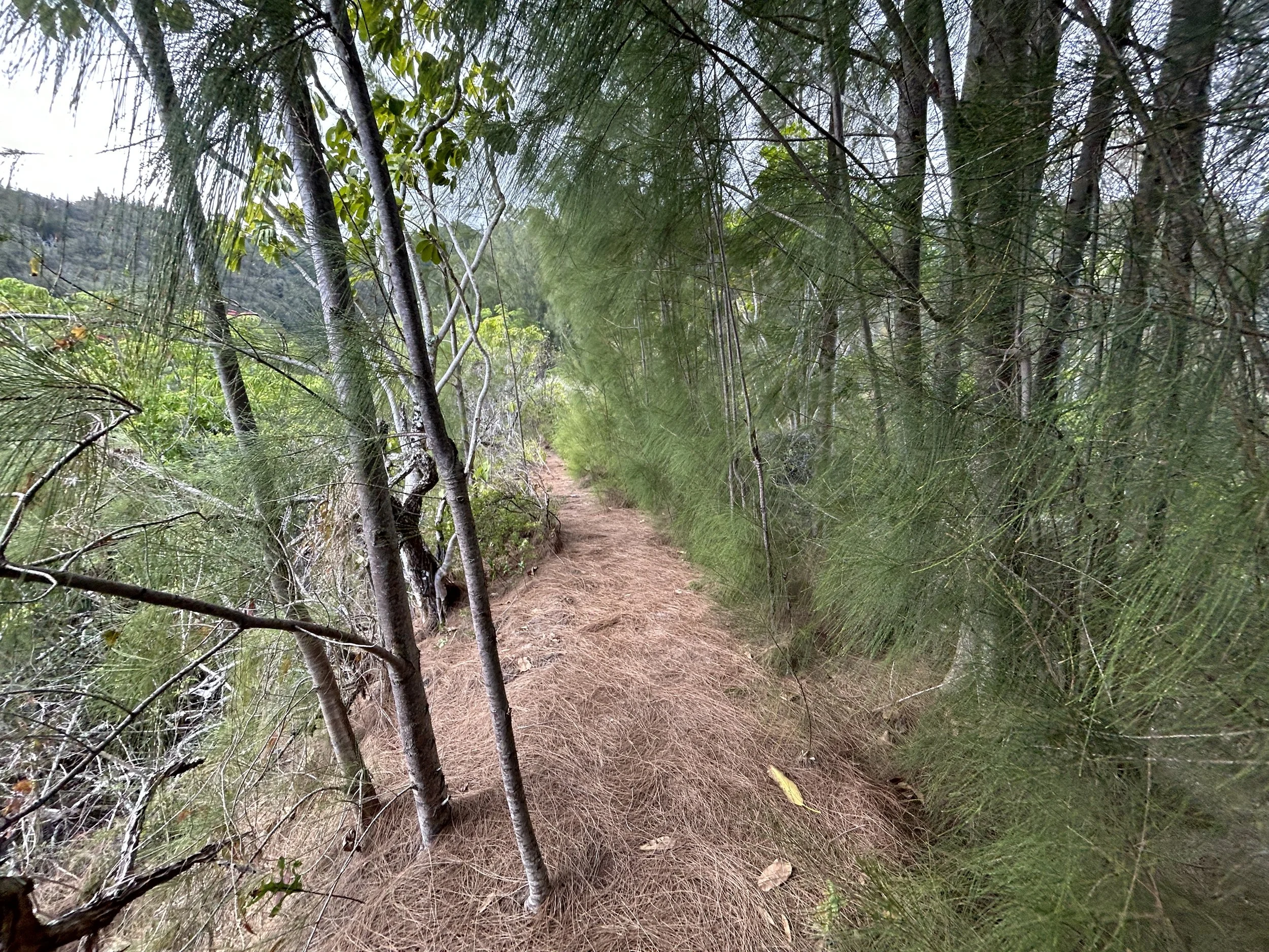 Hiking the Pyramid Rock Loop Trail on Oʻahu — noahawaii