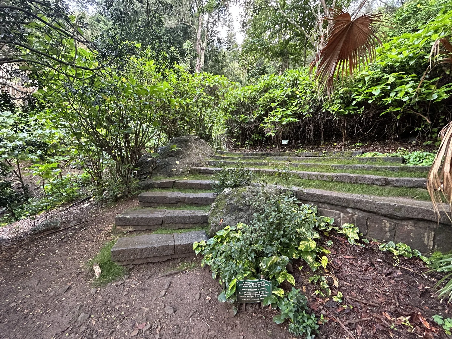 Hiking the Oneʻawa Hills Trail (Kapaʻa Quarry) via the Friendship ...