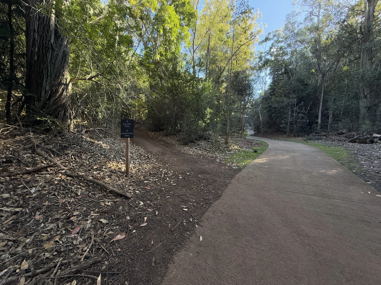 Hiking the Koloiki Ridge-Kaiholena Ridge Loop Trail on Lānaʻi, Hawaiʻi ...