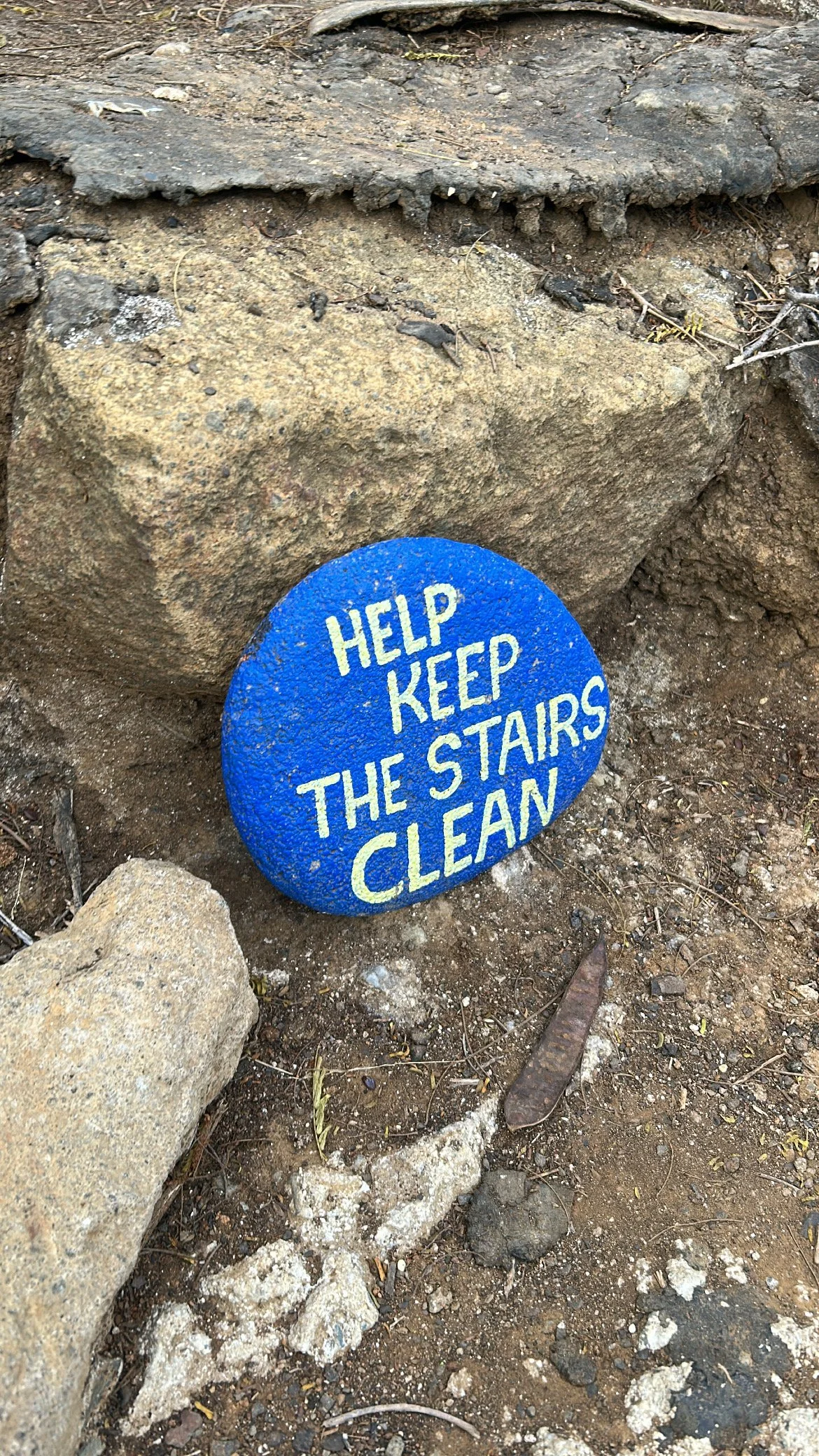 Hiking the Koko Head Stairs on Oʻahu — noahawaii