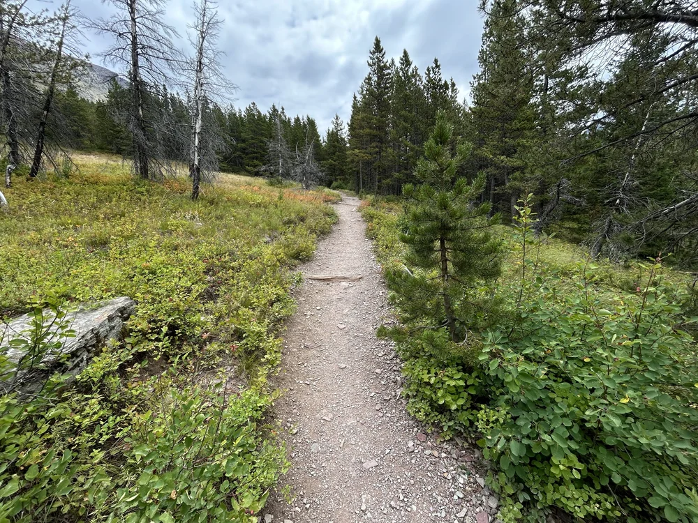 Hiking the Iceberg Lake Trail in Glacier National Park — noahawaii