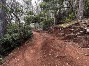 Hiking the Kalauao Falls Loop Trail on Oʻahu, Hawaiʻi — noahawaii
