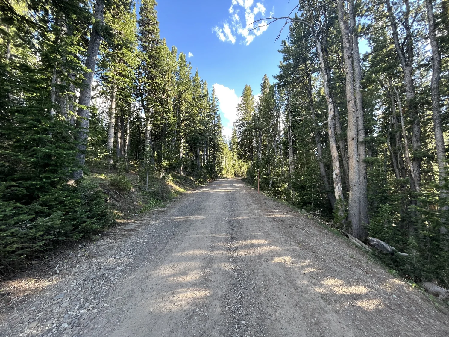 Hiking Mt. Washburn via Chittenden Road in Yellowstone National Park ...