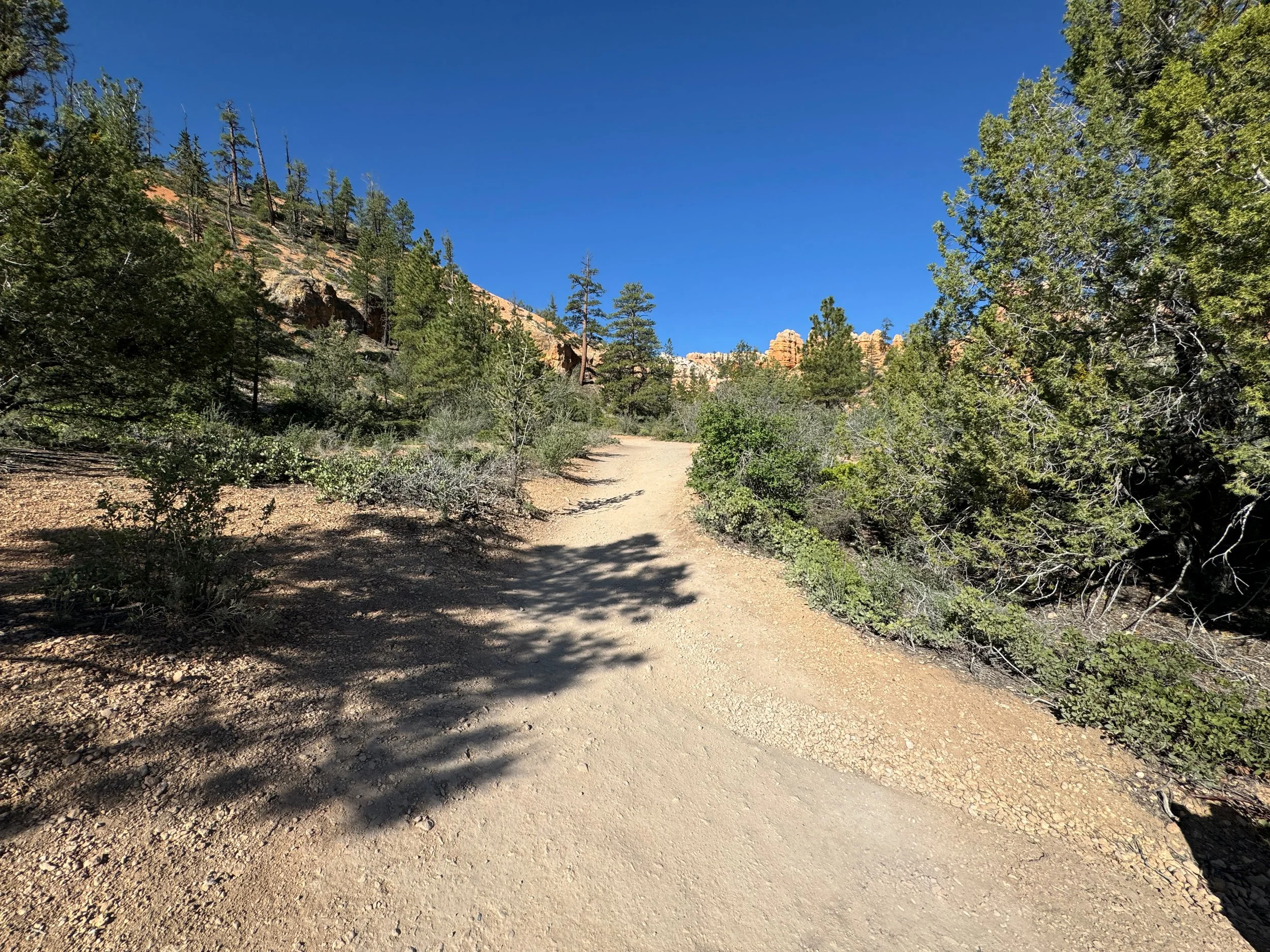 Hiking the Mossy Cave Trail in Bryce Canyon National Park — noahawaii