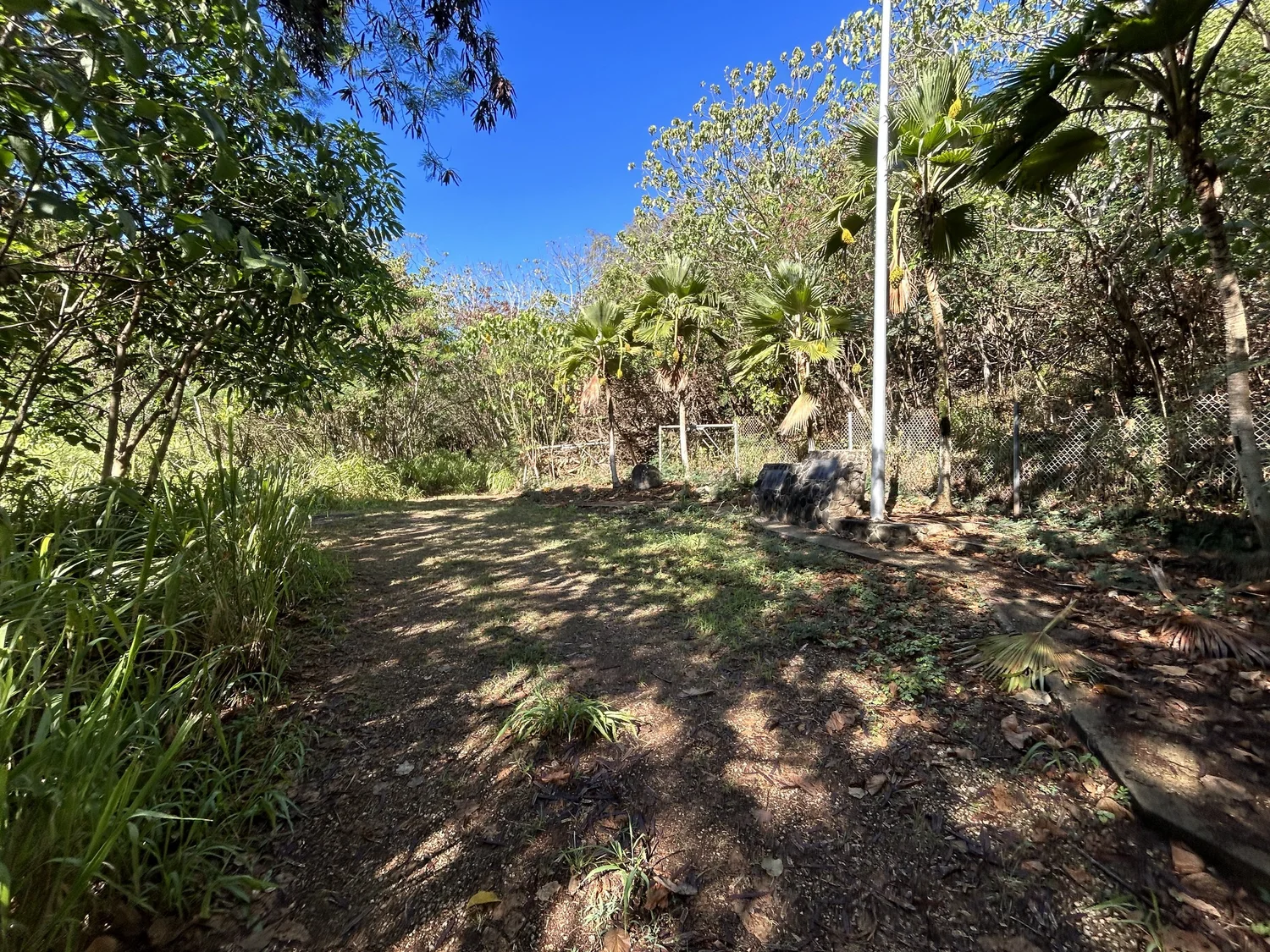 Hiking the Kōloa Gulch Trail on Oʻahu, Hawaiʻi — noahawaii