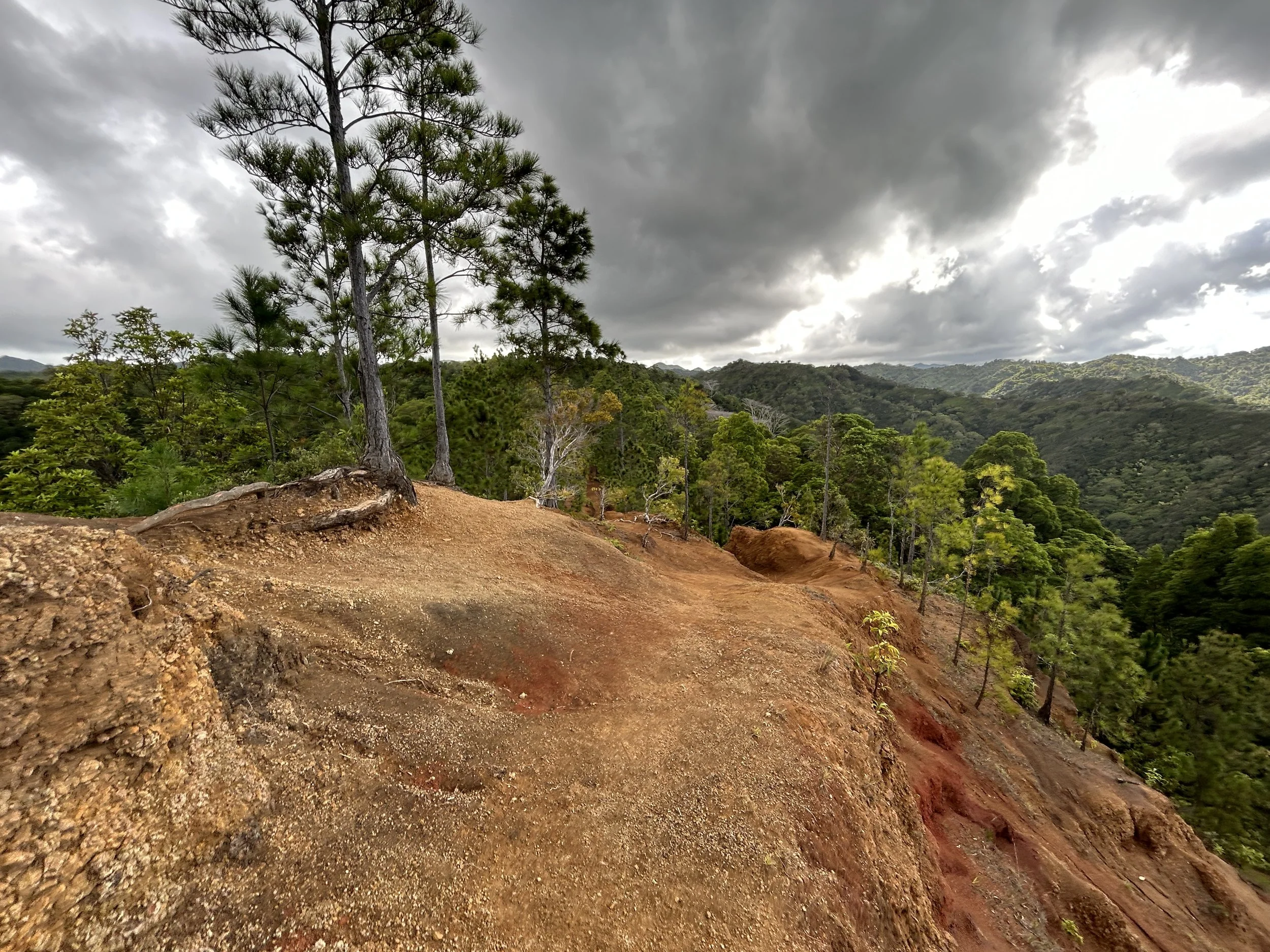 Hiking the Mānana Ridge Trail on Oʻahu — noahawaii