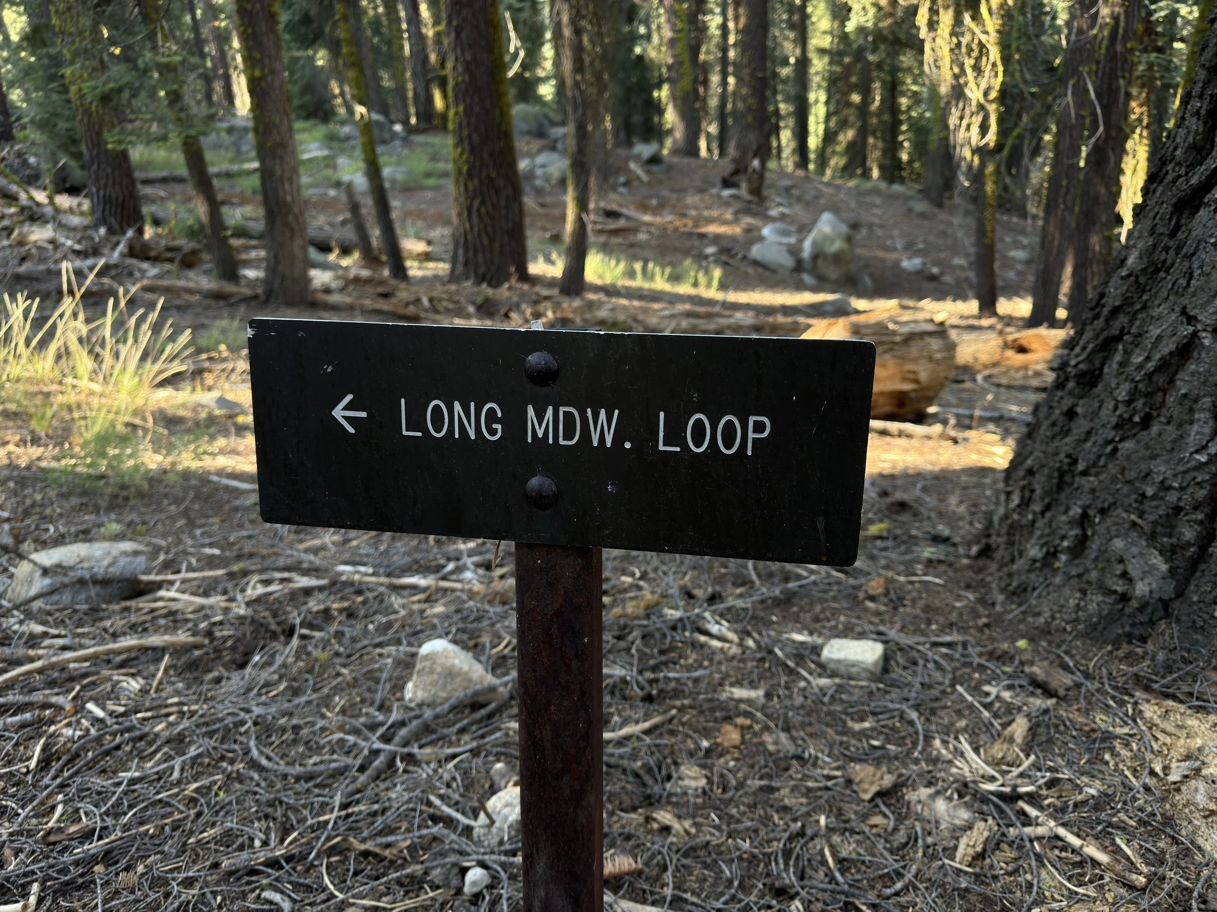 Hiking the Long Meadow Loop Trail in Sequoia National Park — noahawaii