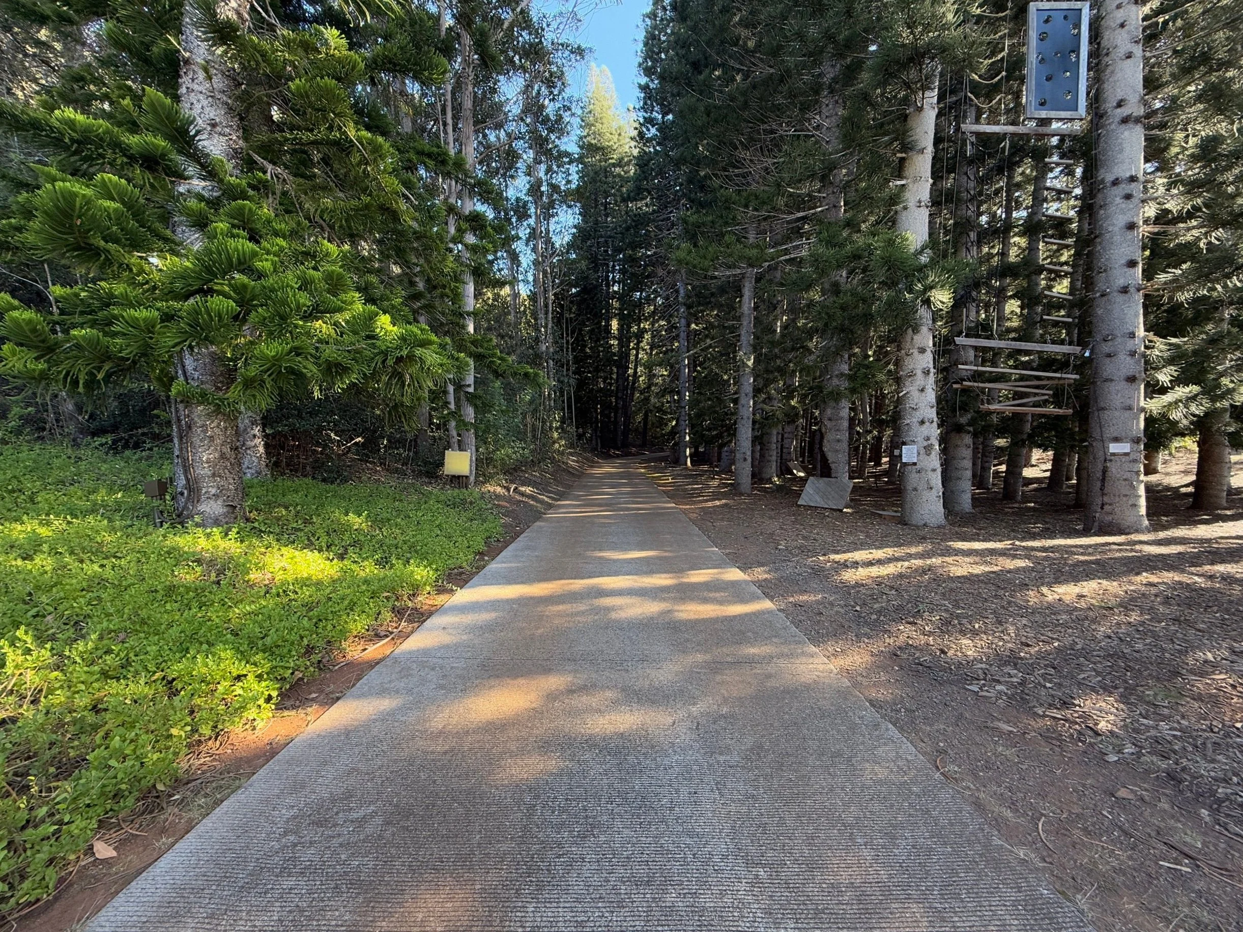 Hiking the Koloiki Ridge-Kaiholena Ridge Loop Trail on Lānaʻi, Hawaiʻi ...
