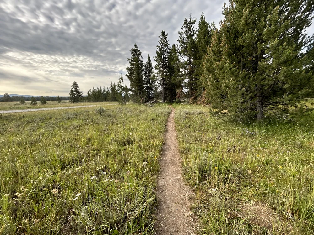 Hiking the Moose Ponds Loop Trail in Grand Teton National Park — noahawaii